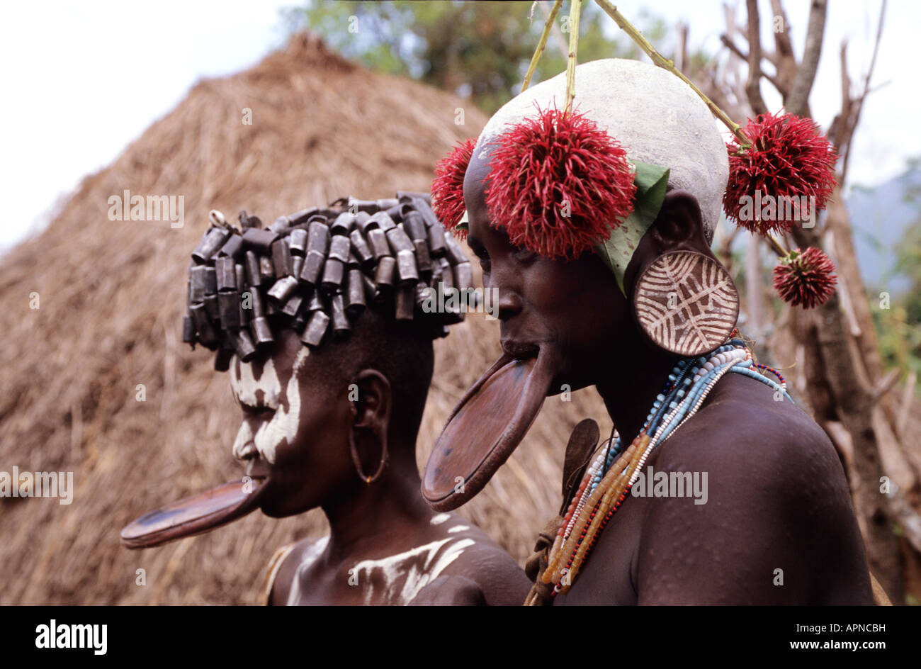 Colorful Surma women in their village along the kibish river near the ...