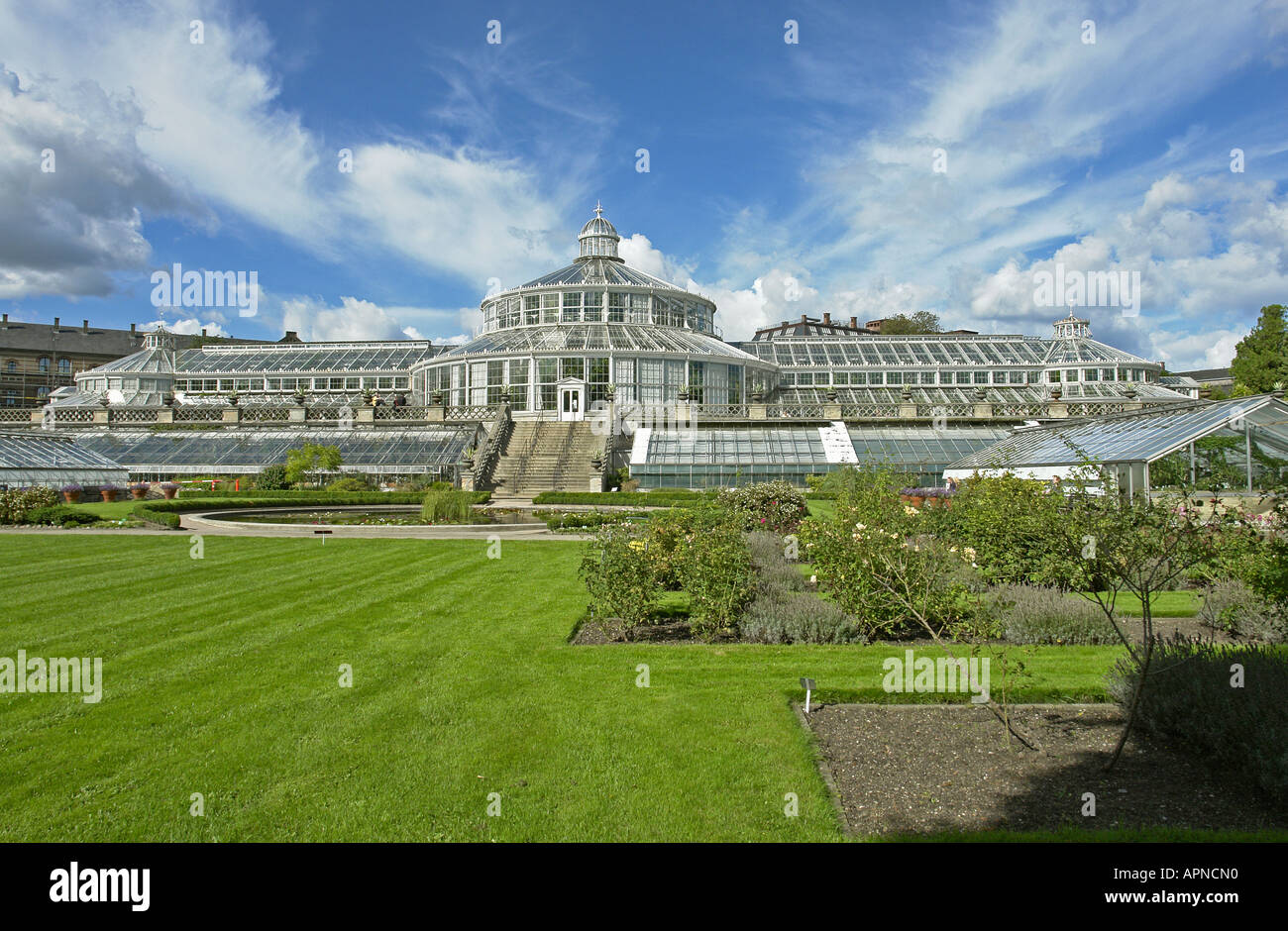 The impressive large Palm House in the Botanic Garden and Museum ...