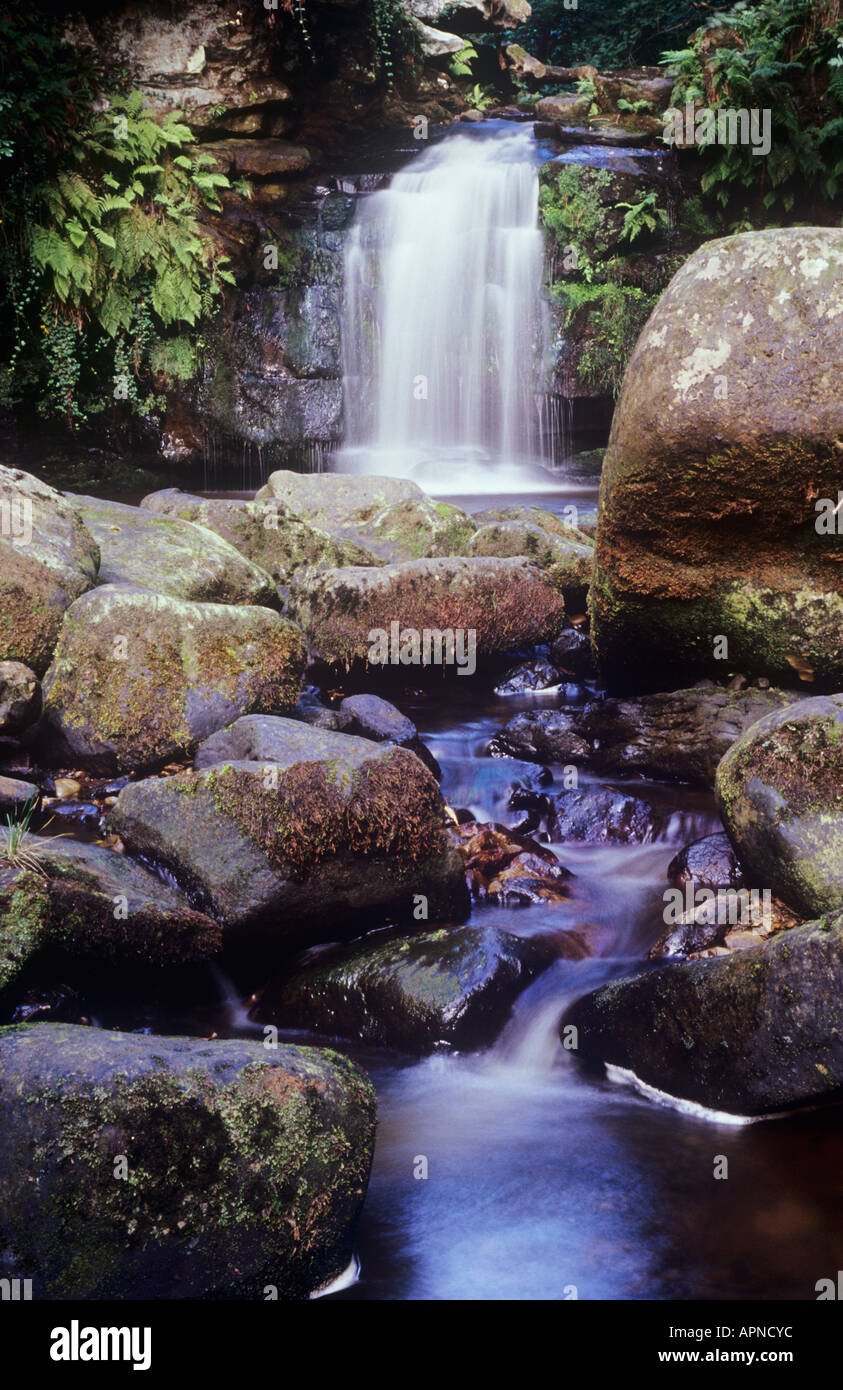 Thomason foss hi-res stock photography and images - Alamy