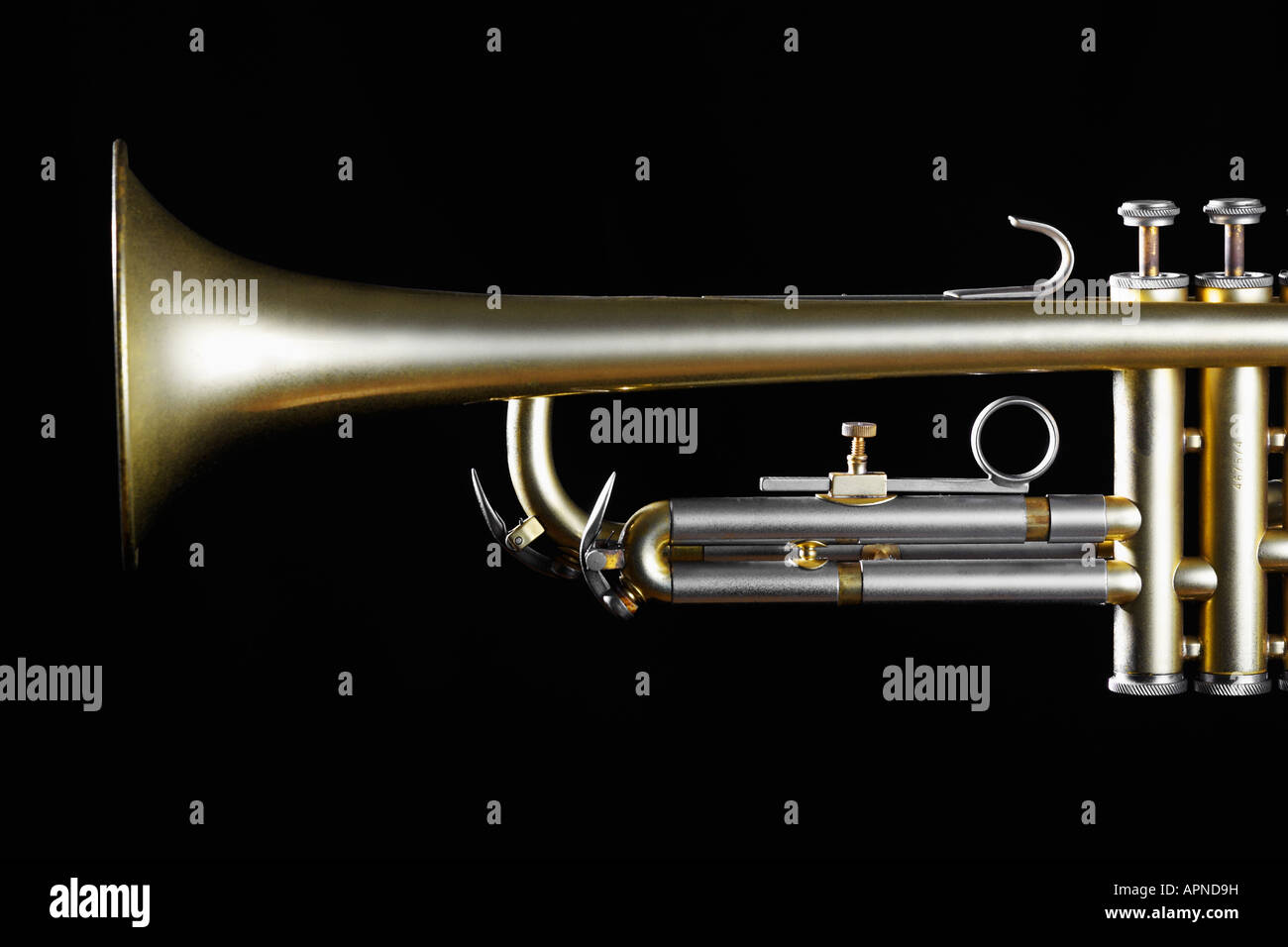 Single trumpet (close-up Stock Photo - Alamy