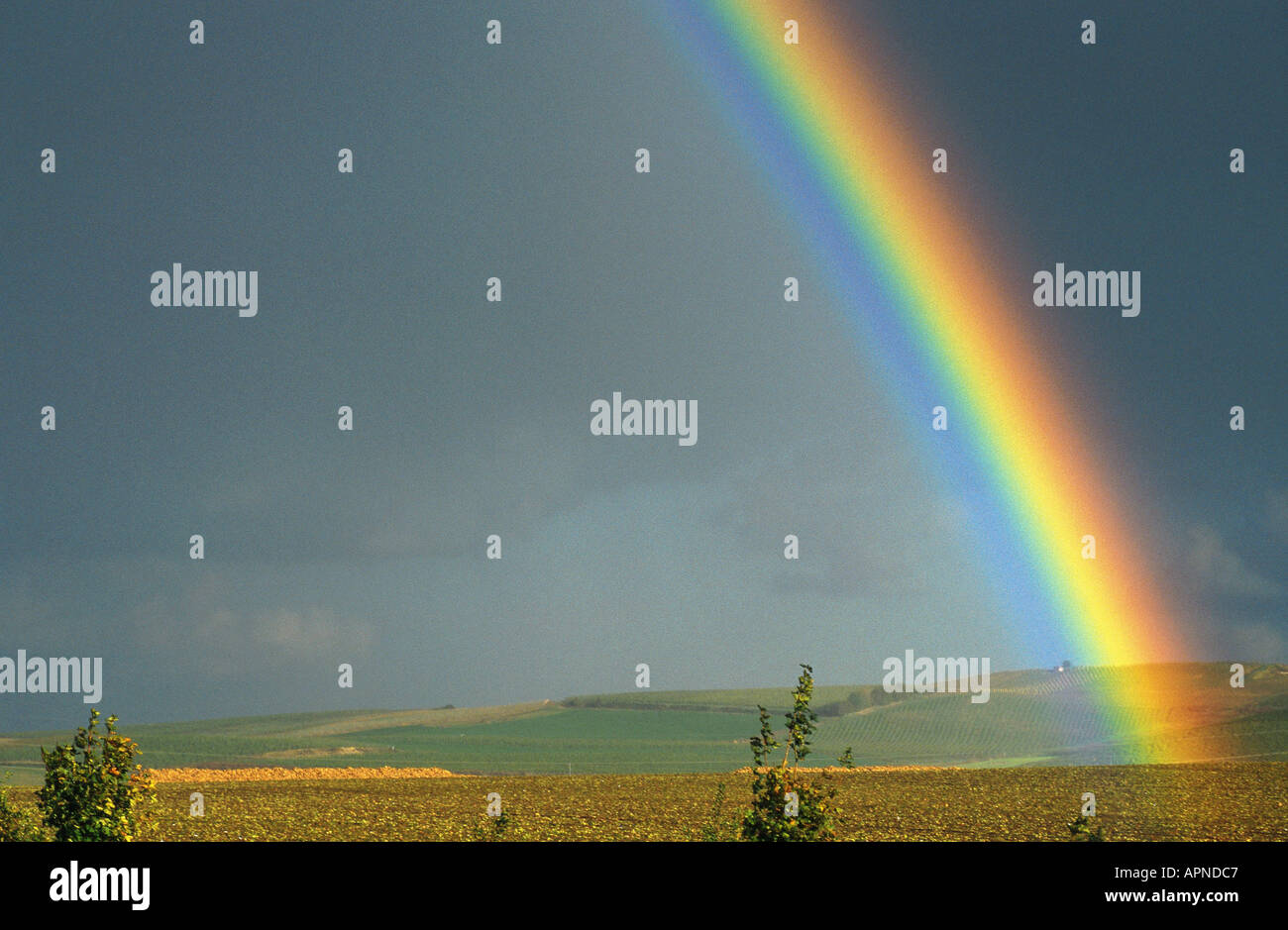 fields with rainbow, Germany Stock Photo - Alamy