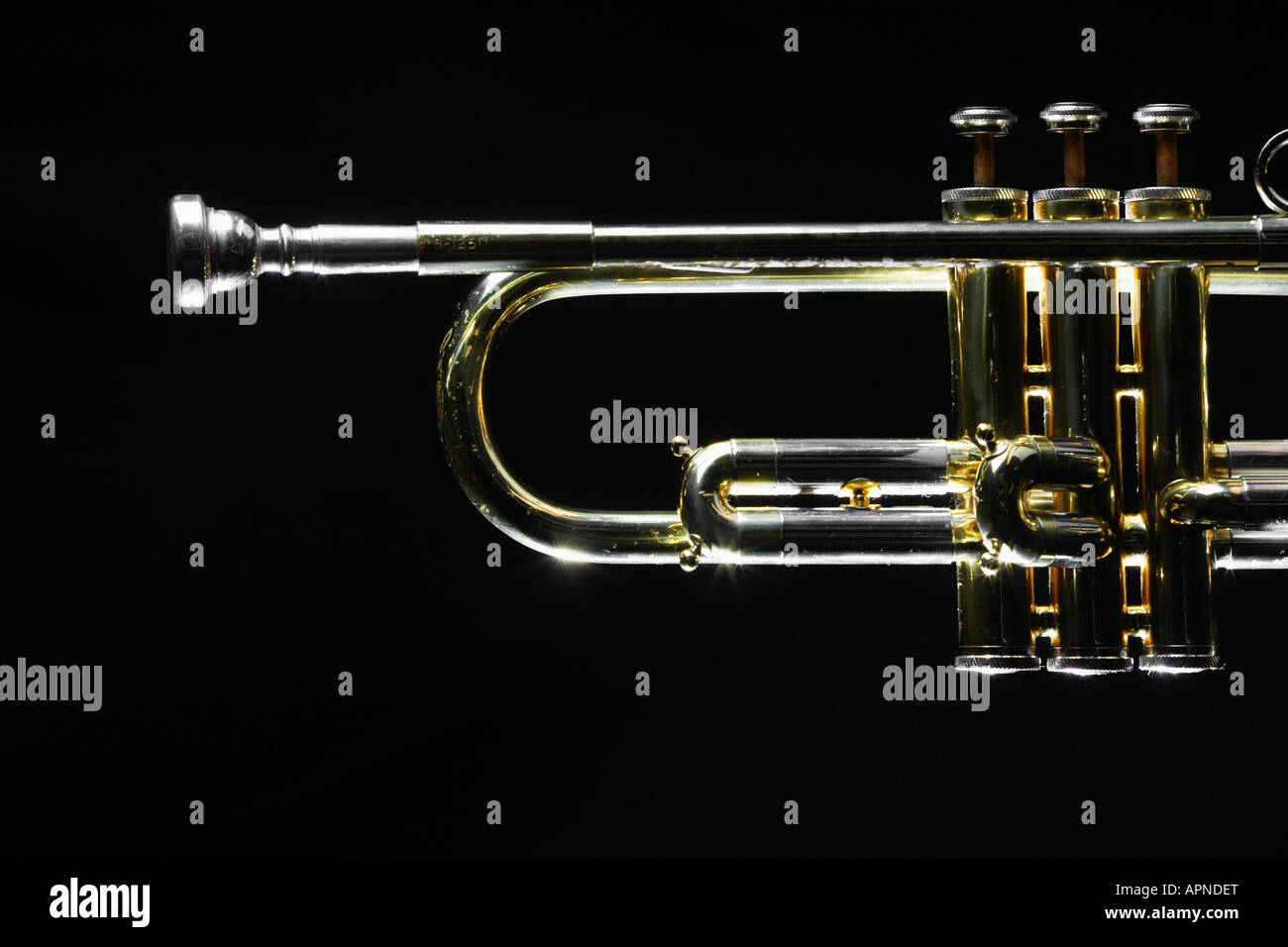 Trumpet close up hi-res stock photography and images - Alamy