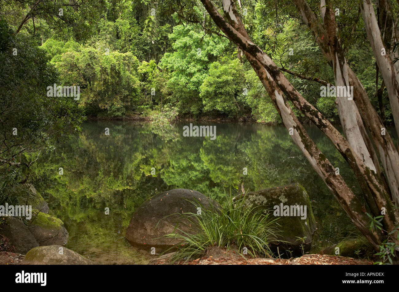 Golden Hole Russell River Bartle Frere North Queensland Australia Stock ...