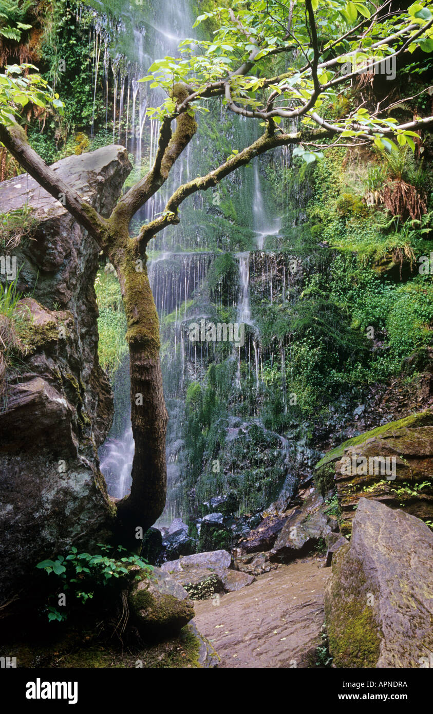 Mallyan Spout waterfall Stock Photo - Alamy