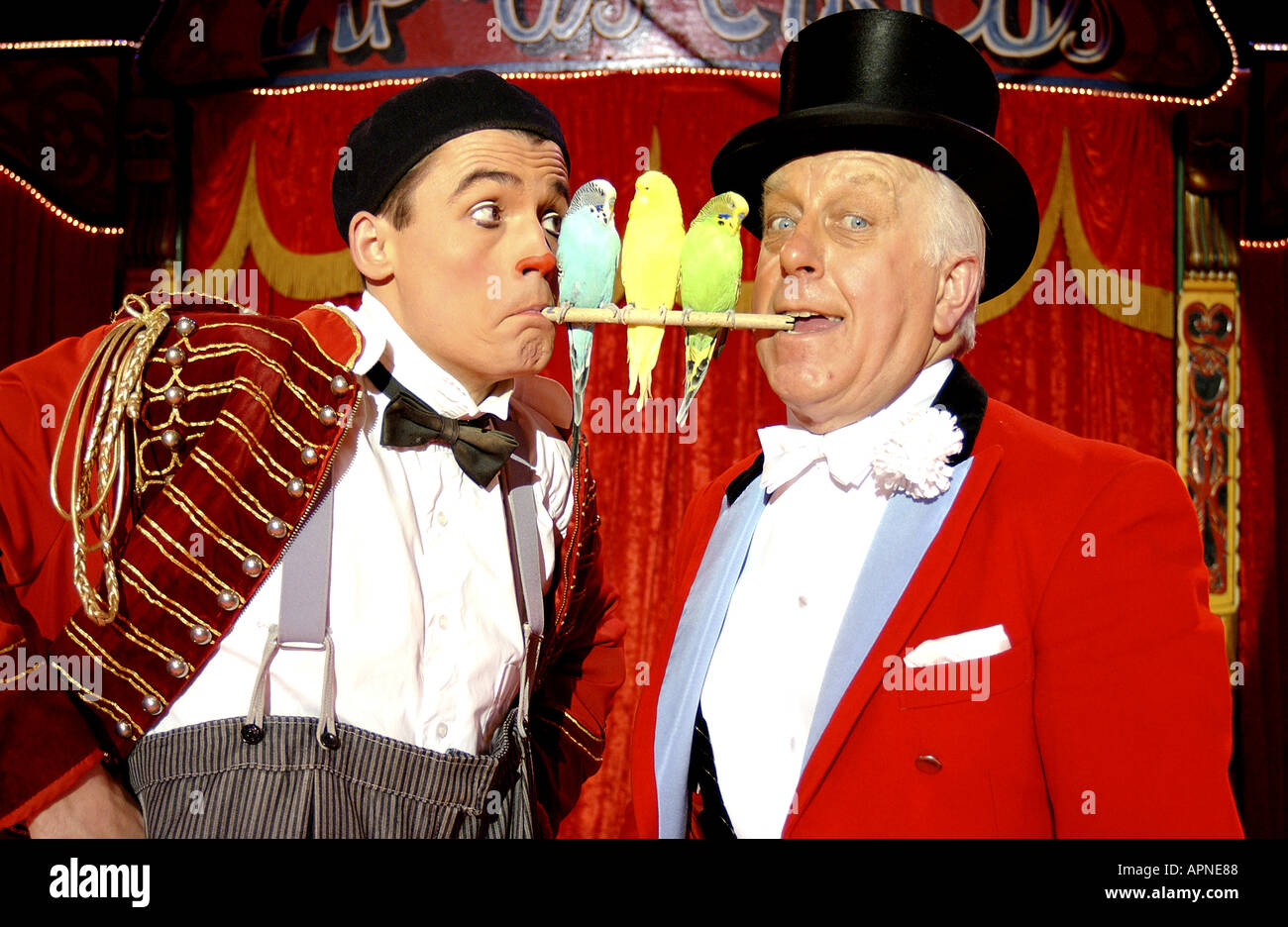 circus 2 men clown ringmaster red top hat budgerigars big top tent ...