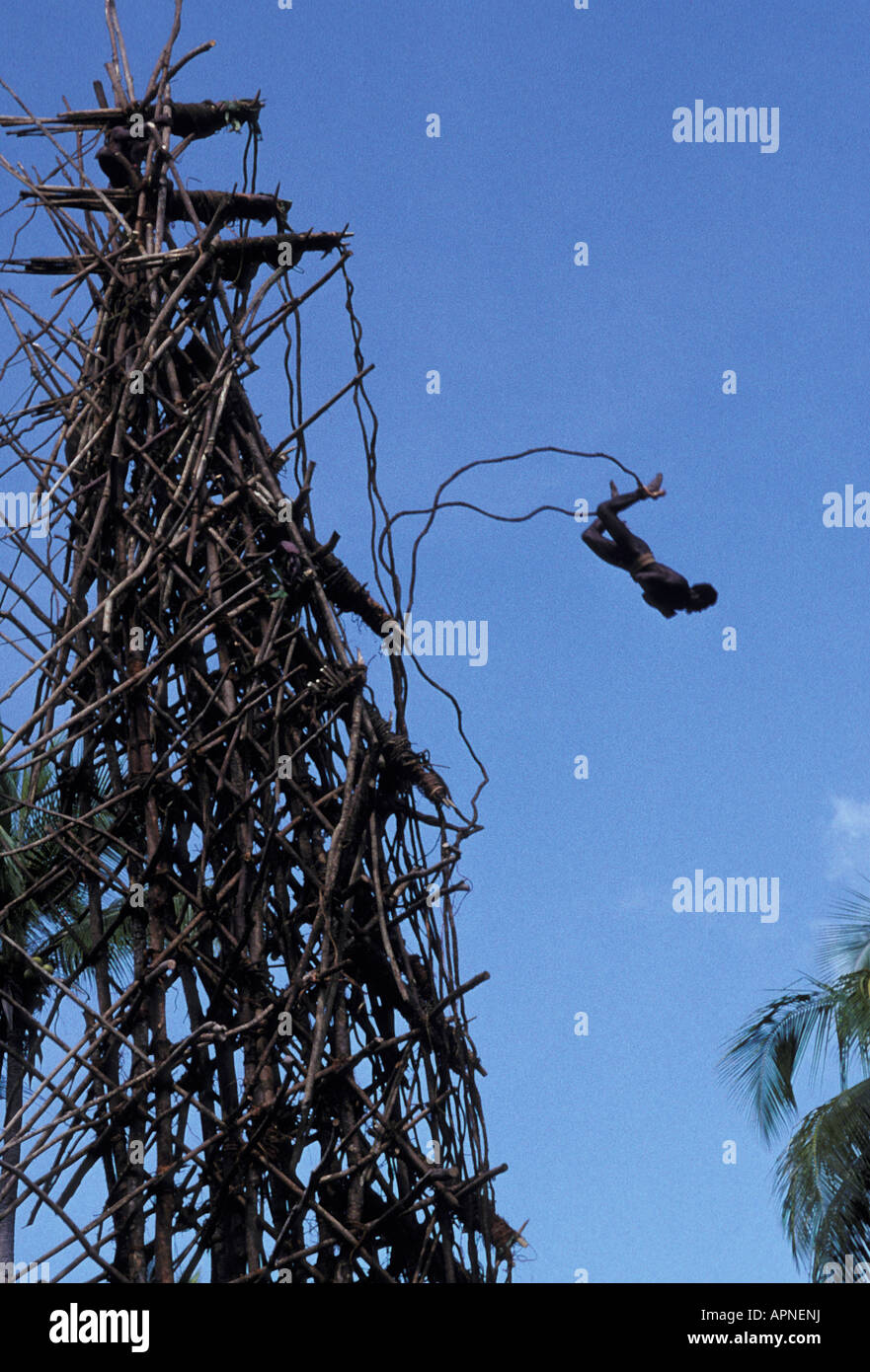 Bungee jumper vanuatu hi-res stock photography and images - Alamy