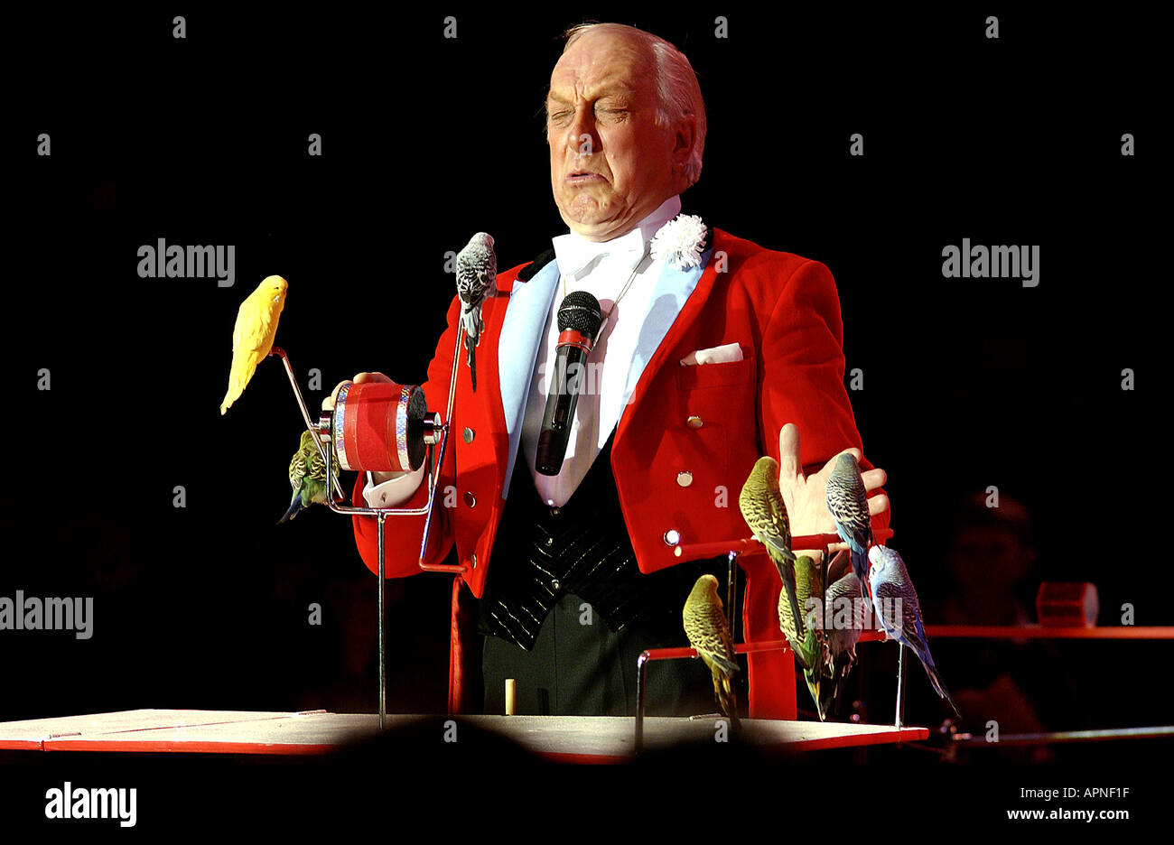 Parrots arts hi-res stock photography and images - Alamy