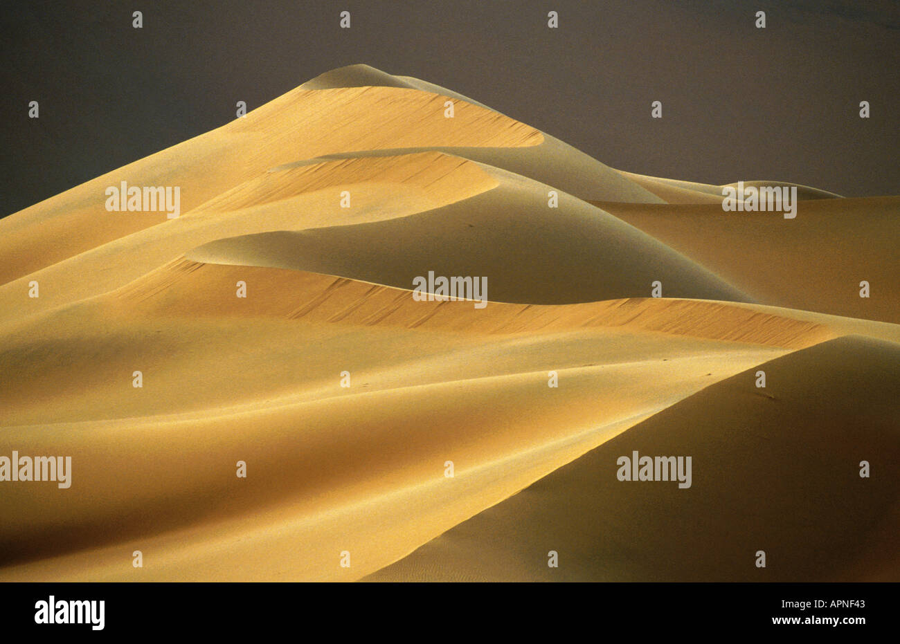 sand dunes, barchan dunes, Namibia, Sossusvlei Stock Photo - Alamy