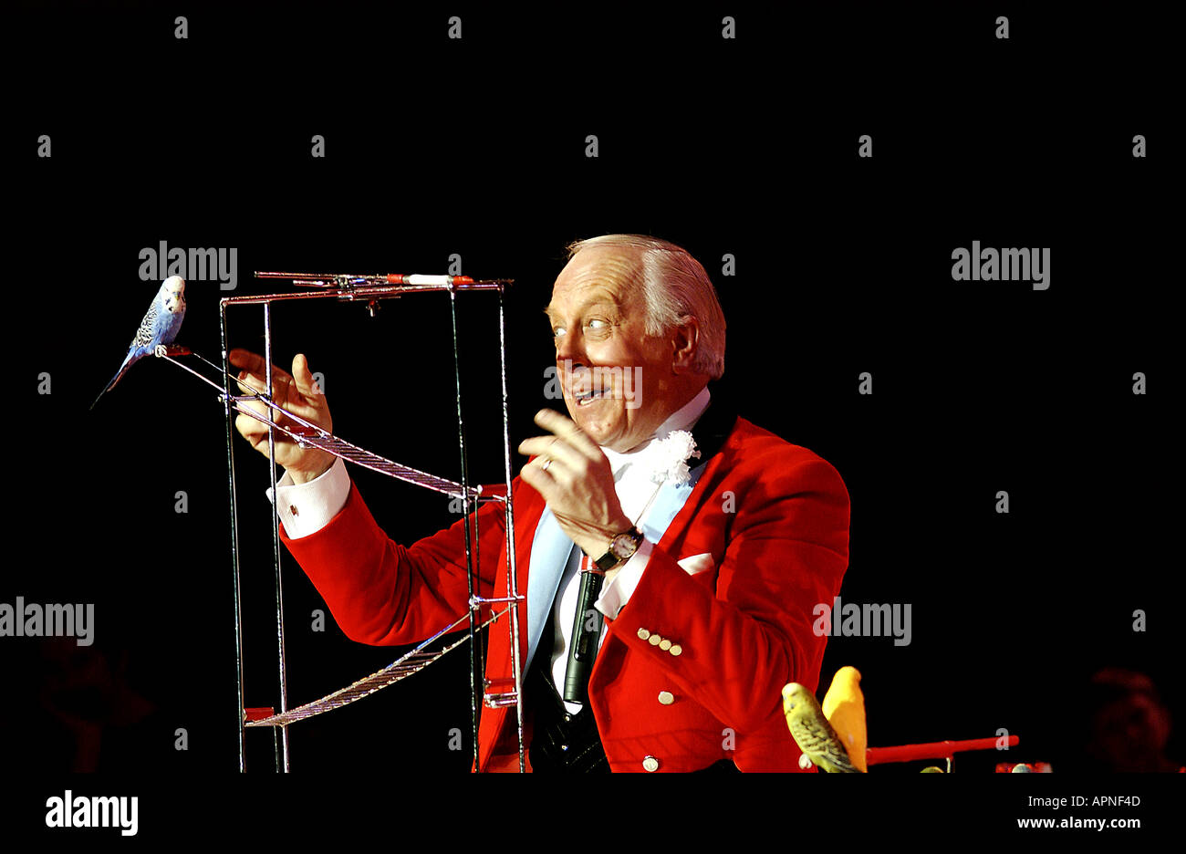circus ringmaster with performing parrots Stock Photo - Alamy