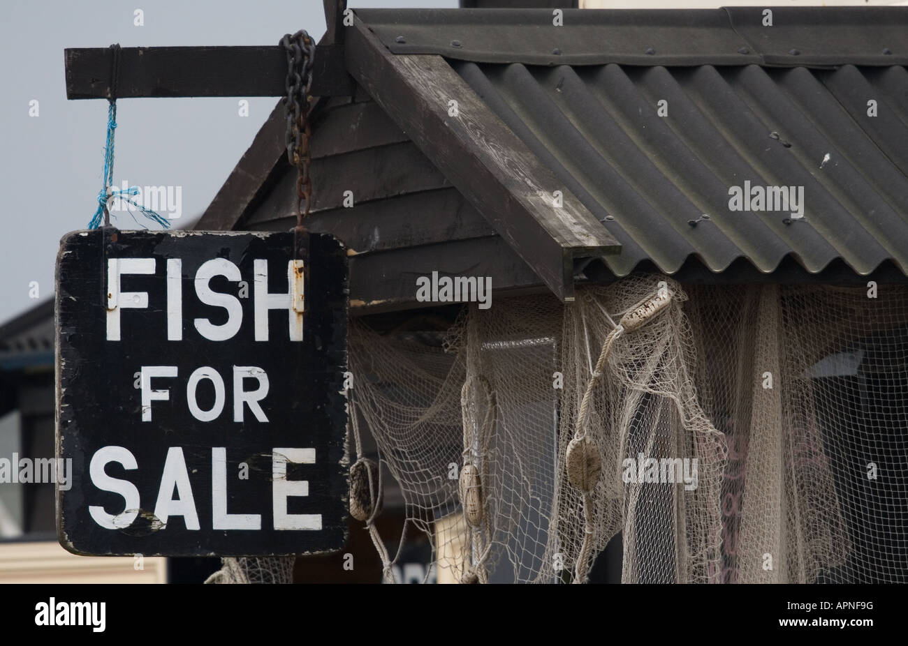 Sign with Fish for Sale at Southwold, Suffolk, England Stock Photo - Alamy