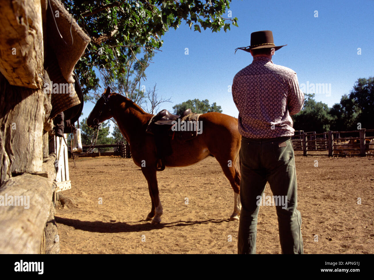 Man and horse Stock Photo - Alamy