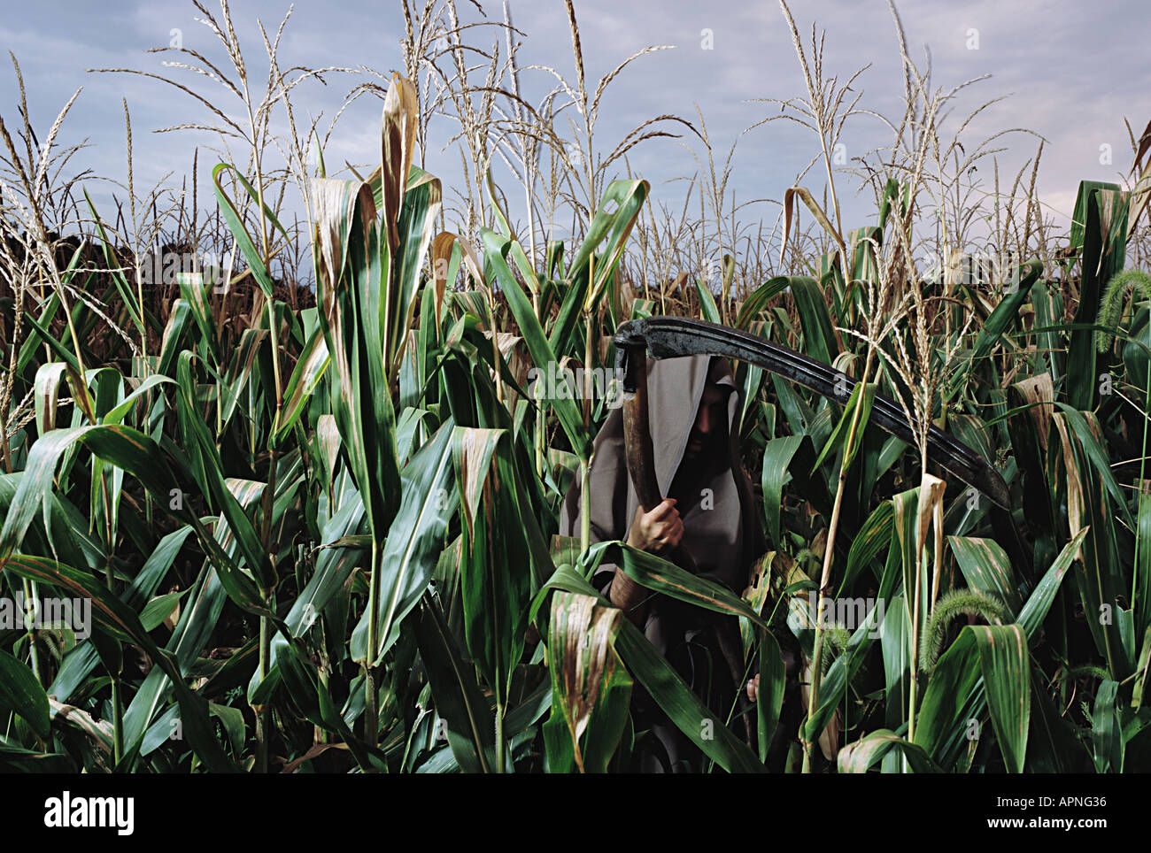 Grim reaper a hi-res stock photography and images - Alamy