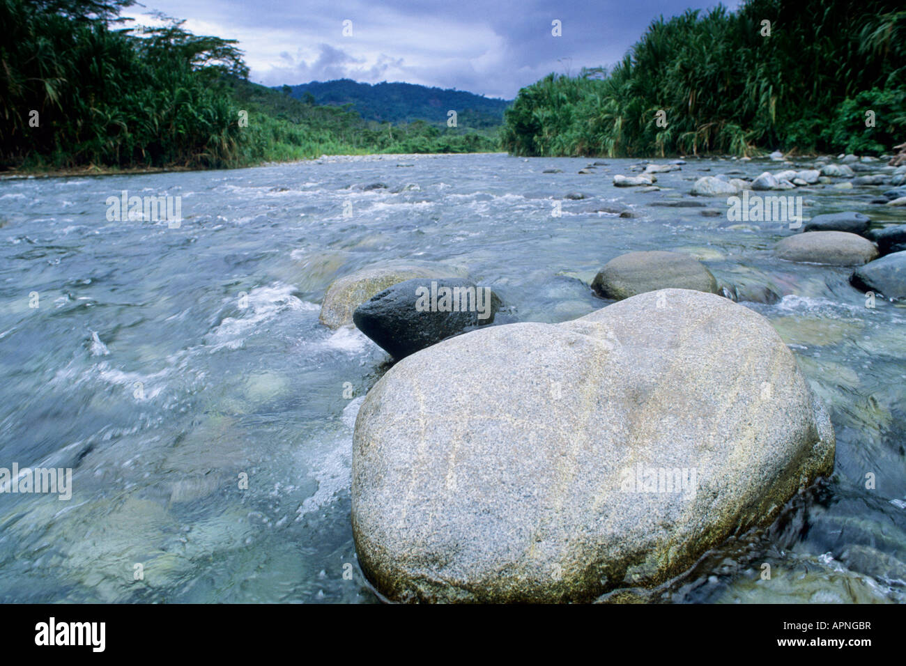 Bribri Costa Rica High Resolution Stock Photography and Images - Alamy