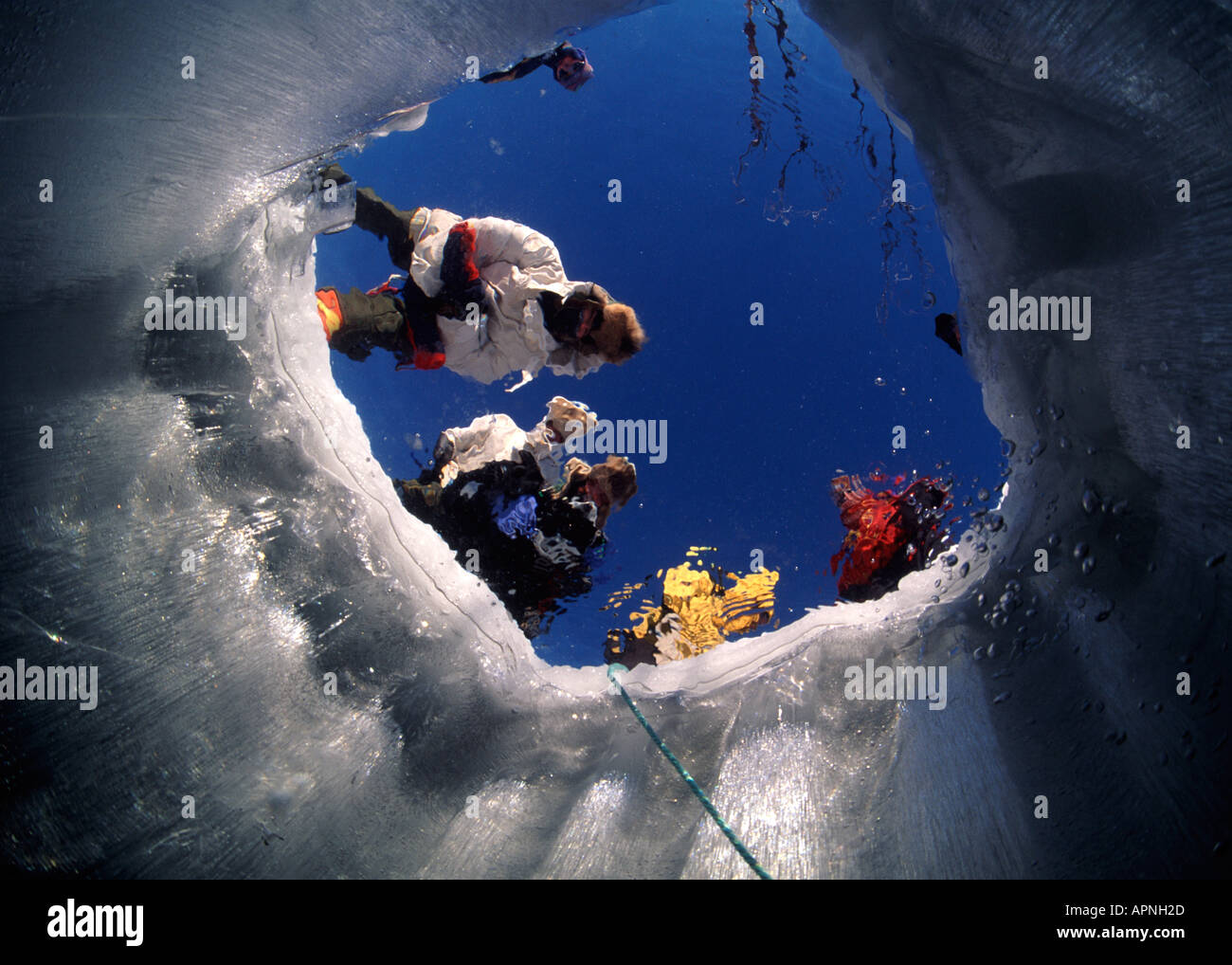 Ice diving hi-res stock photography and images - Alamy