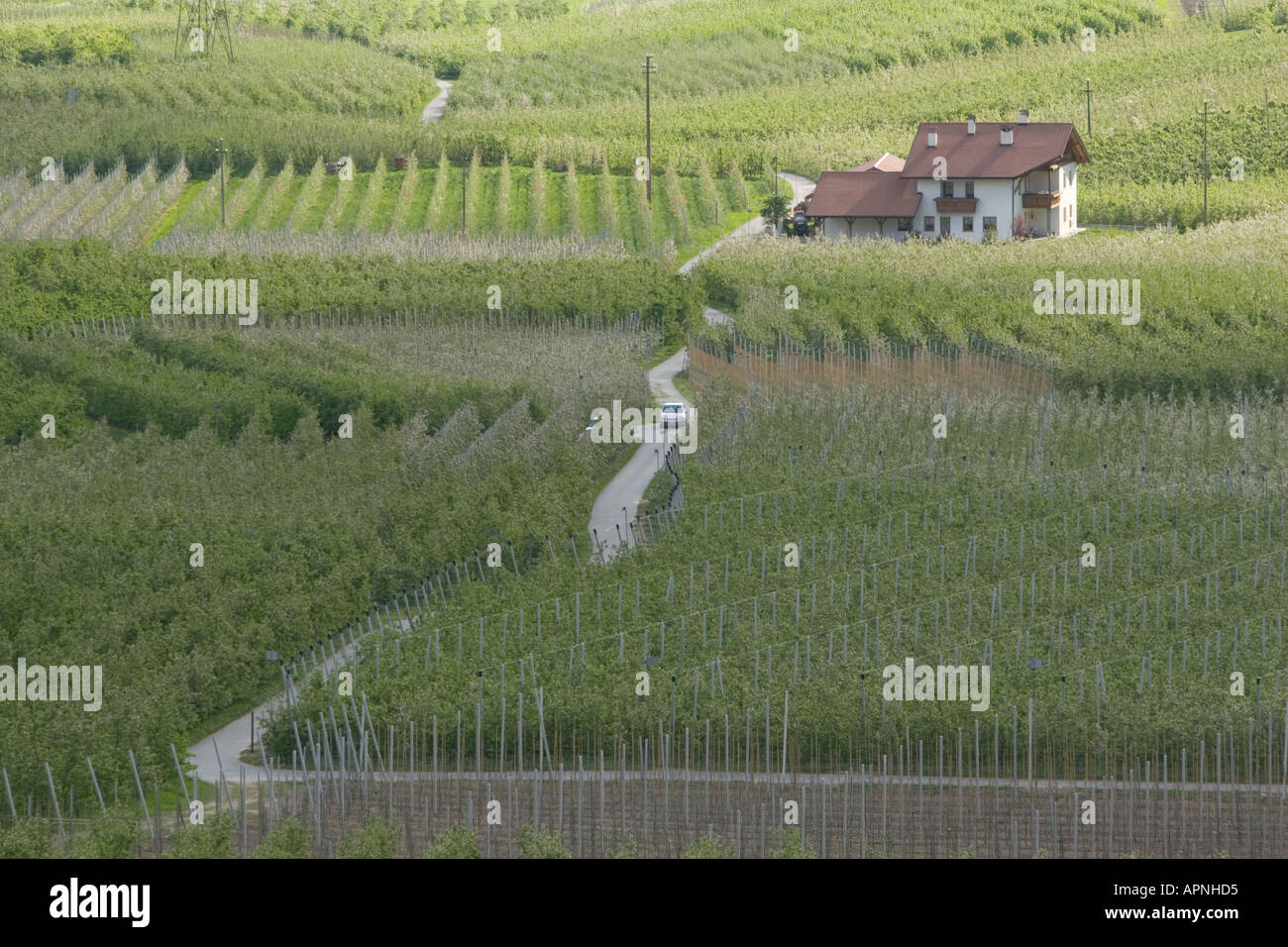 Monocultural farming hi-res stock photography and images - Alamy