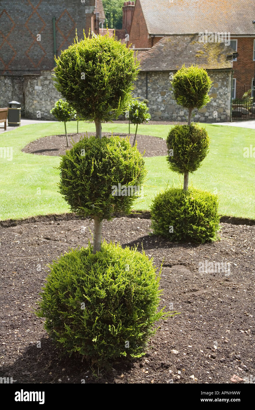 Garden design leylandii topiary hedge art hi-res stock photography and ...