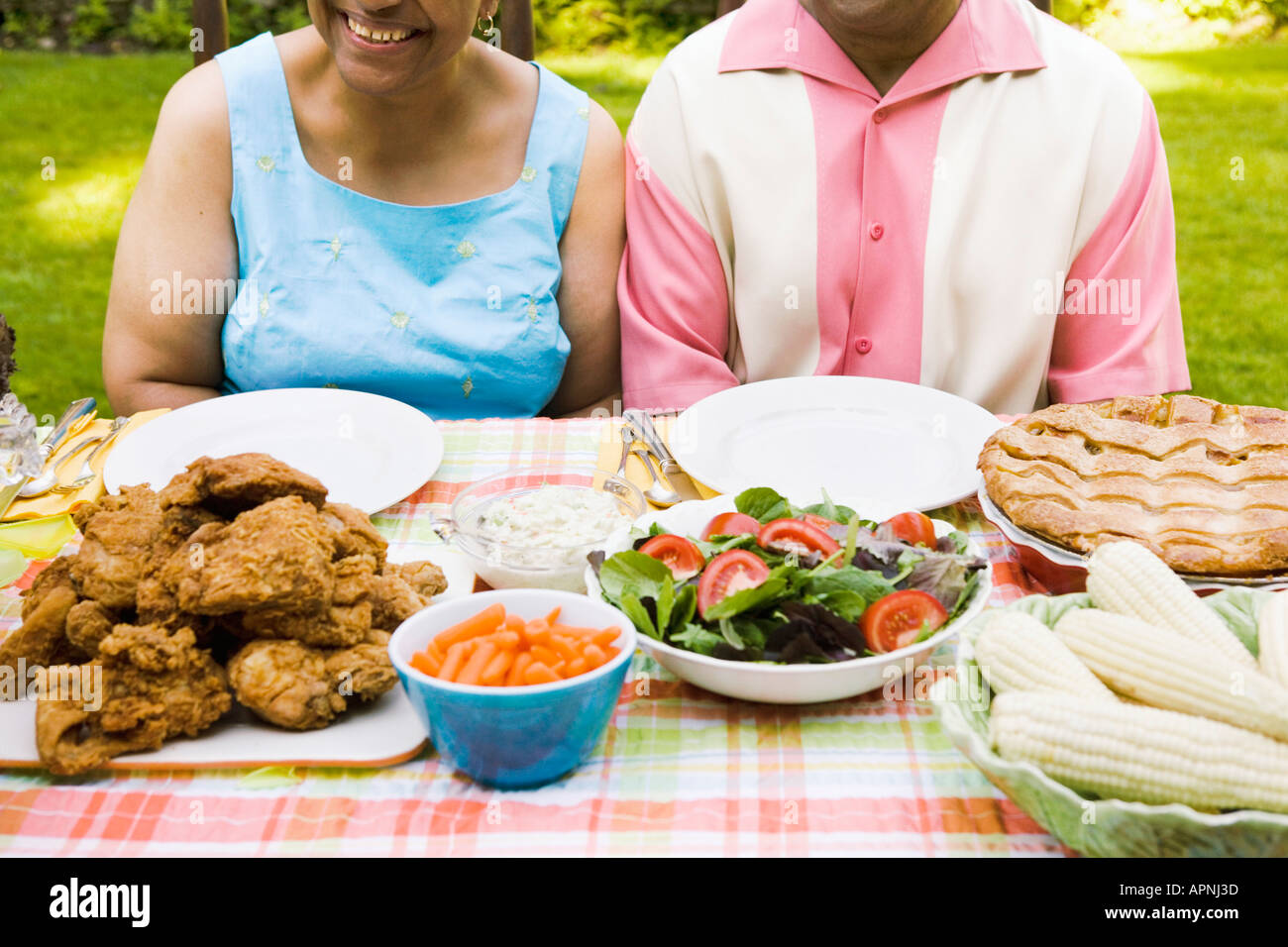 Seated chicken hi-res stock photography and images - Alamy