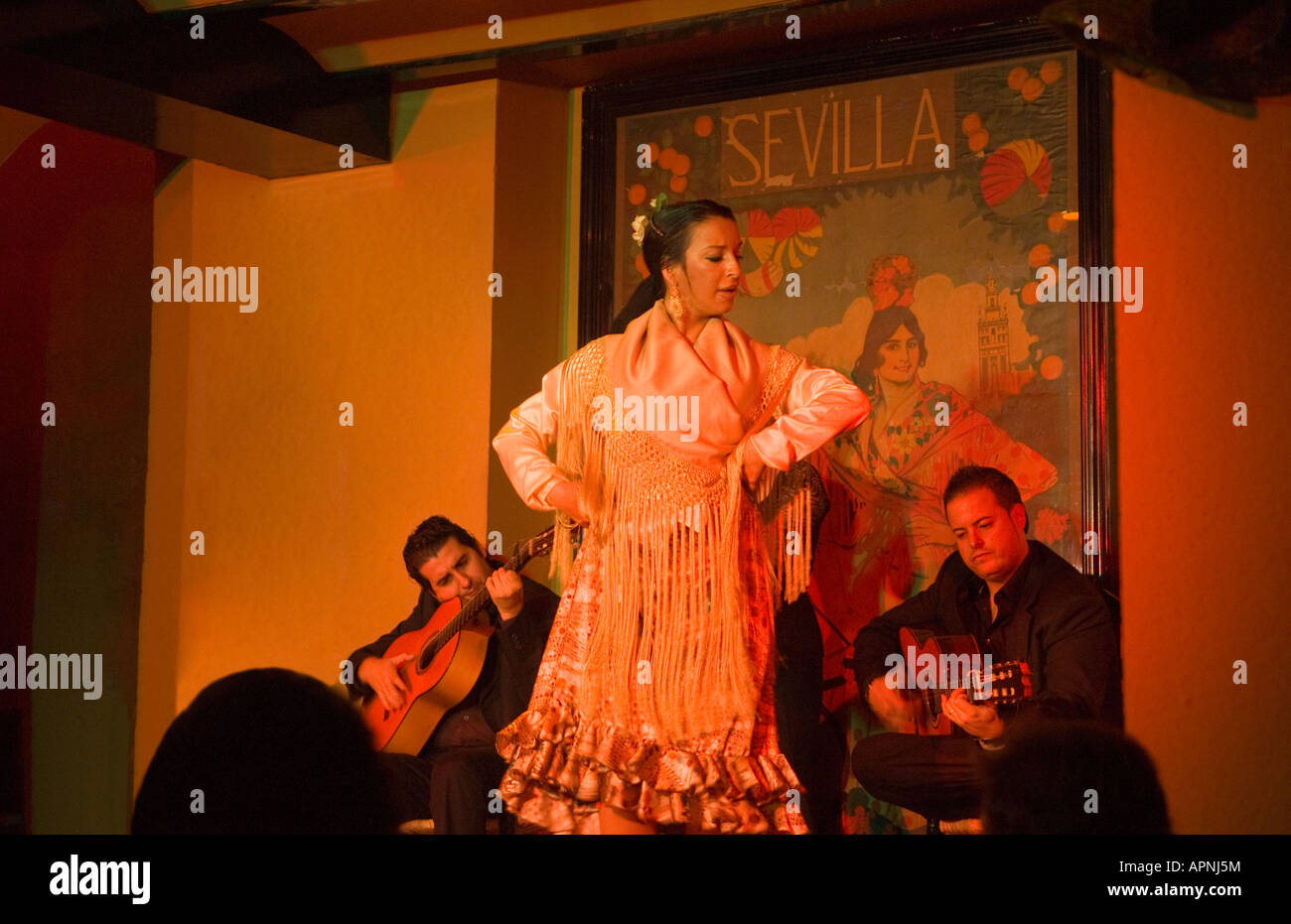 Wonderful Flamenco dancer show with traditional dancing at the El ...