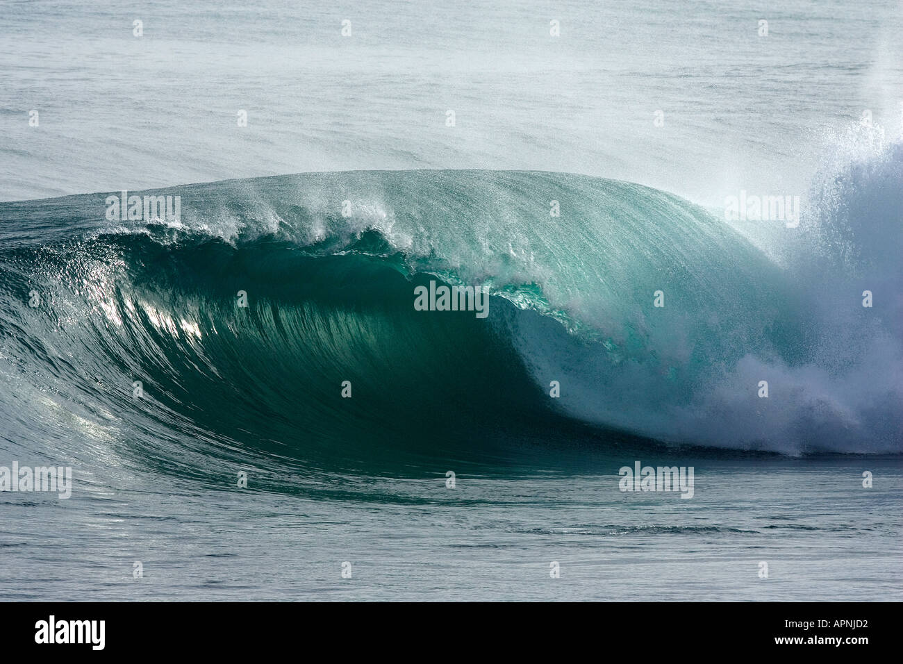 Basheba barbados hi-res stock photography and images - Alamy