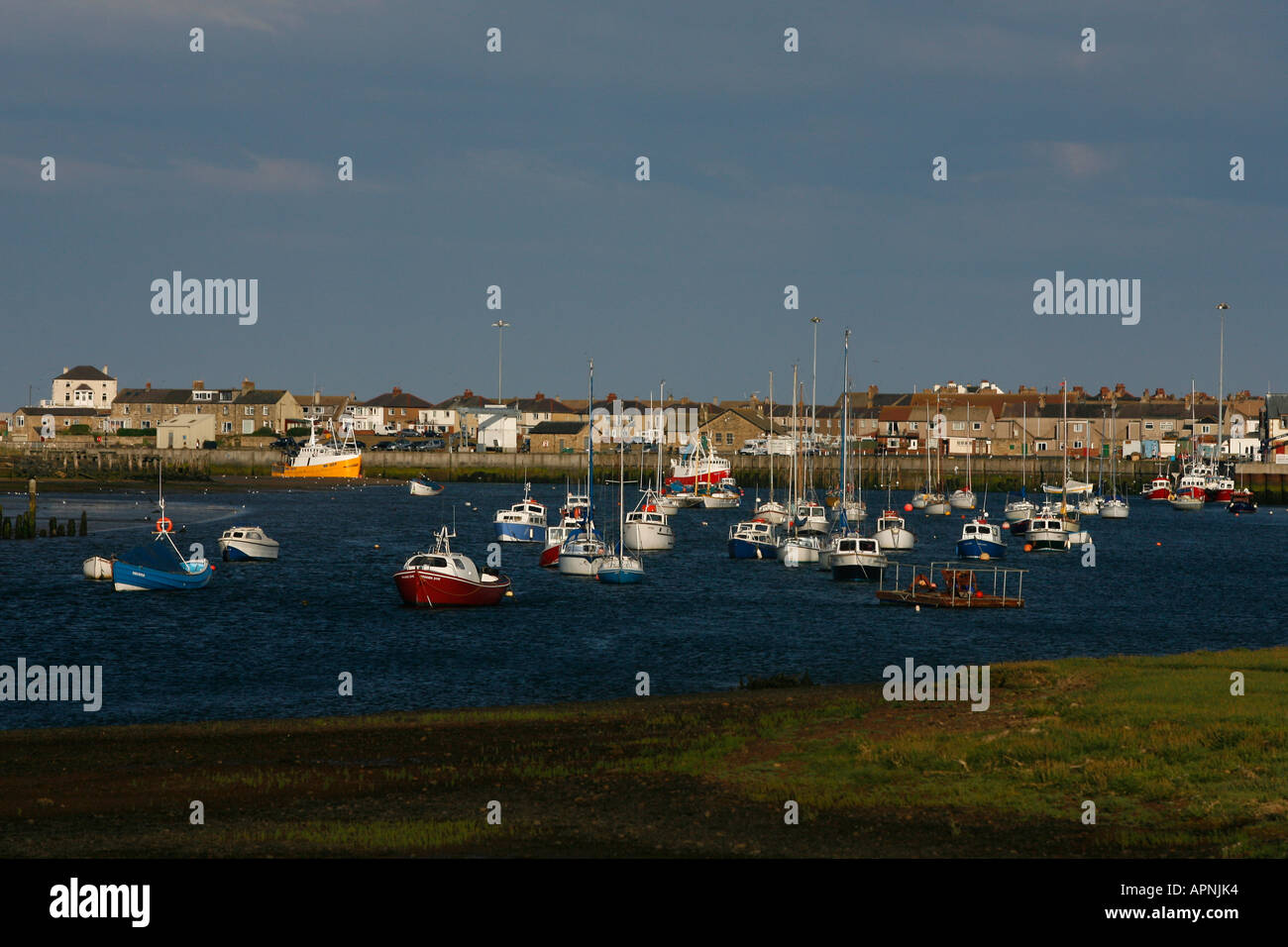 Amble Northumberland North East England UK Stock Photo - Alamy