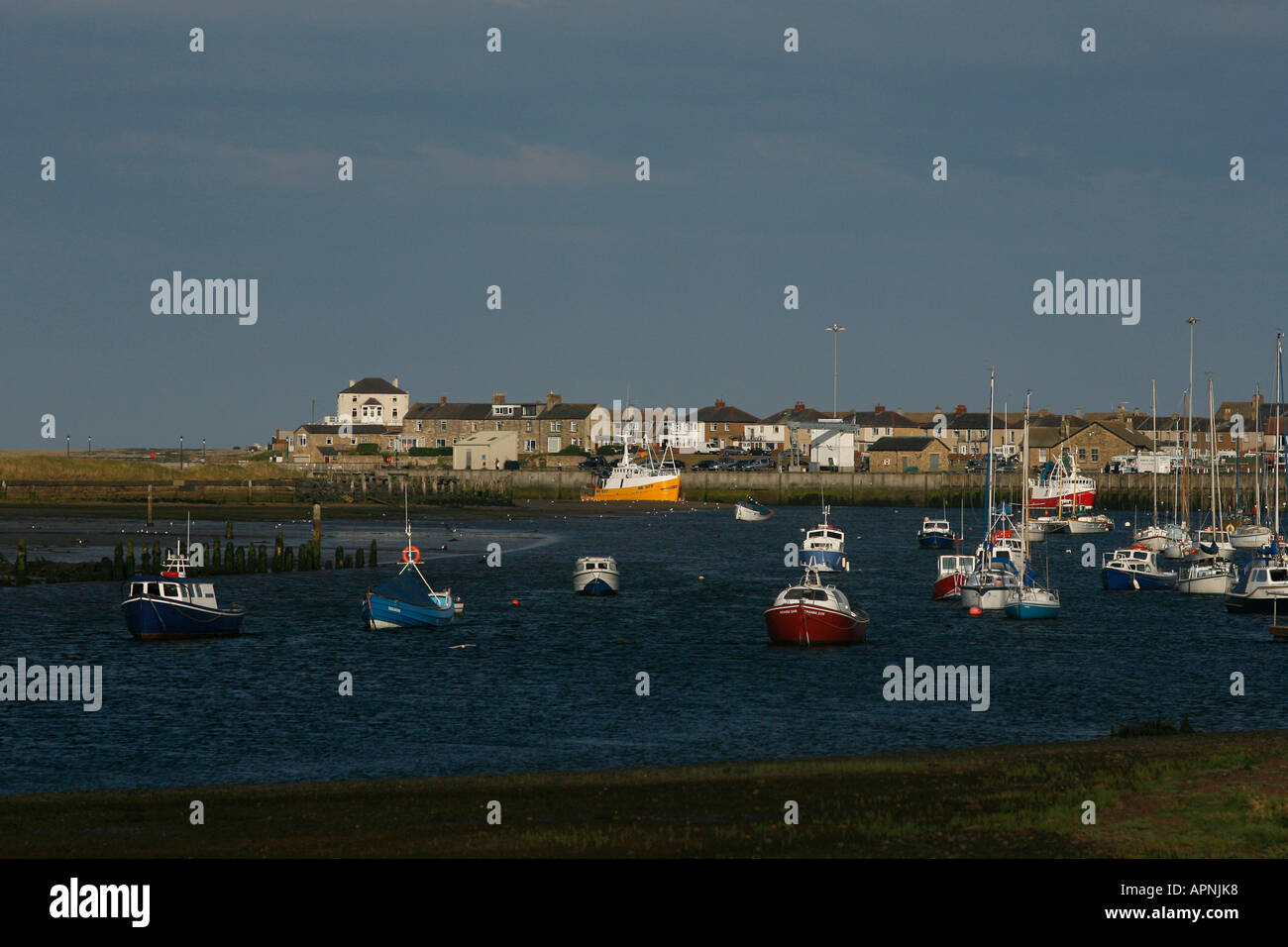 Amble Northumberland North East England UK Stock Photo - Alamy