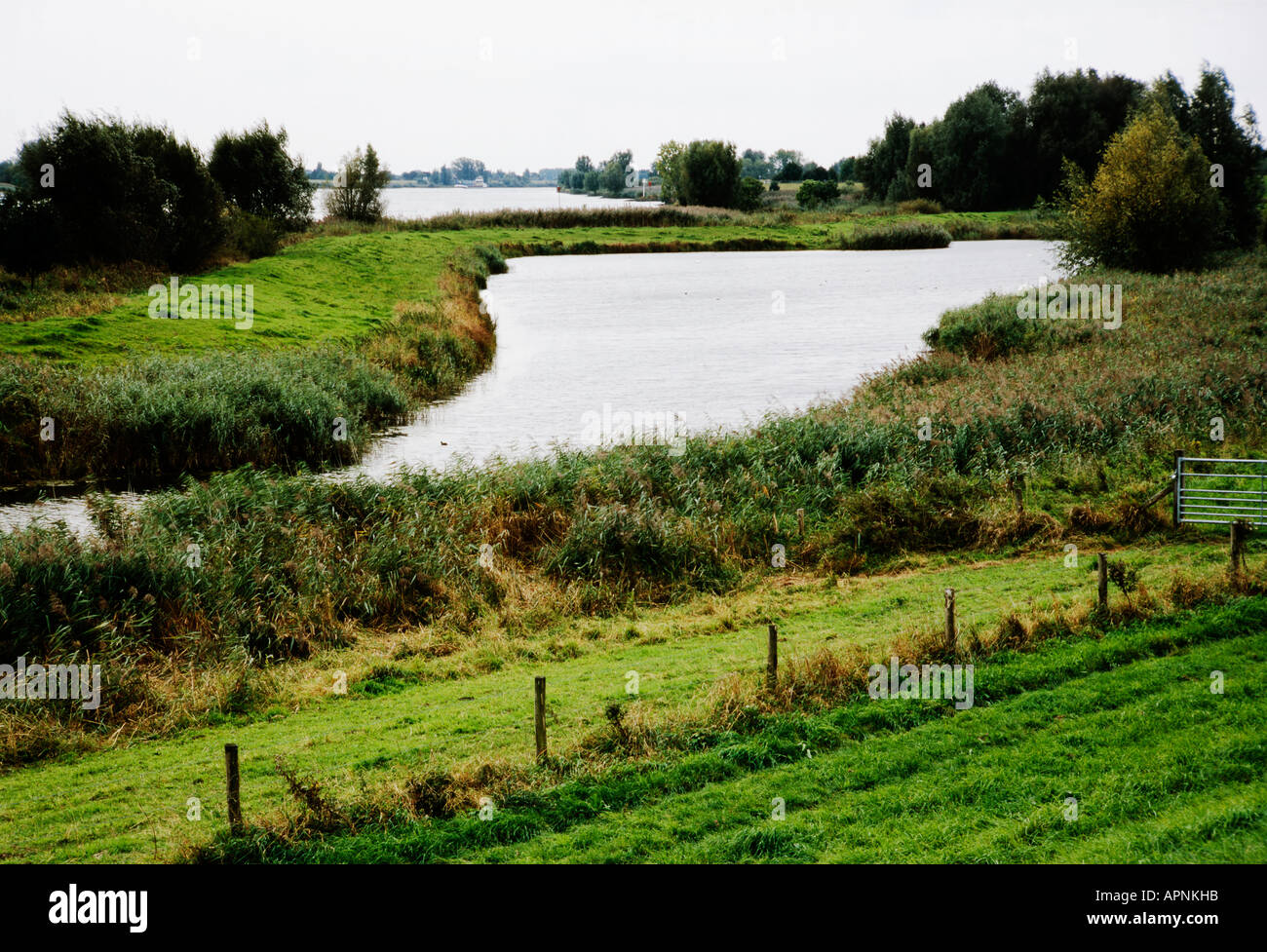 Bank gras hi-res stock photography and images - Alamy