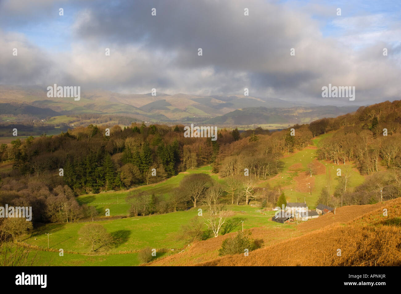 Dyfi Valley (UNESCO) biosphere Mid Wales UK spring 2008 - looking north ...
