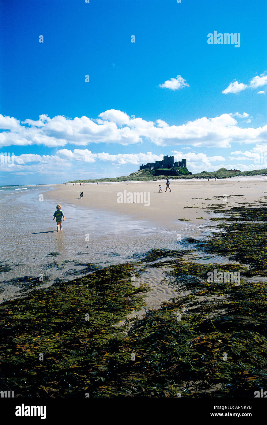 Bamburgh Beach with Bamburgh Castle beyond Stock Photo - Alamy