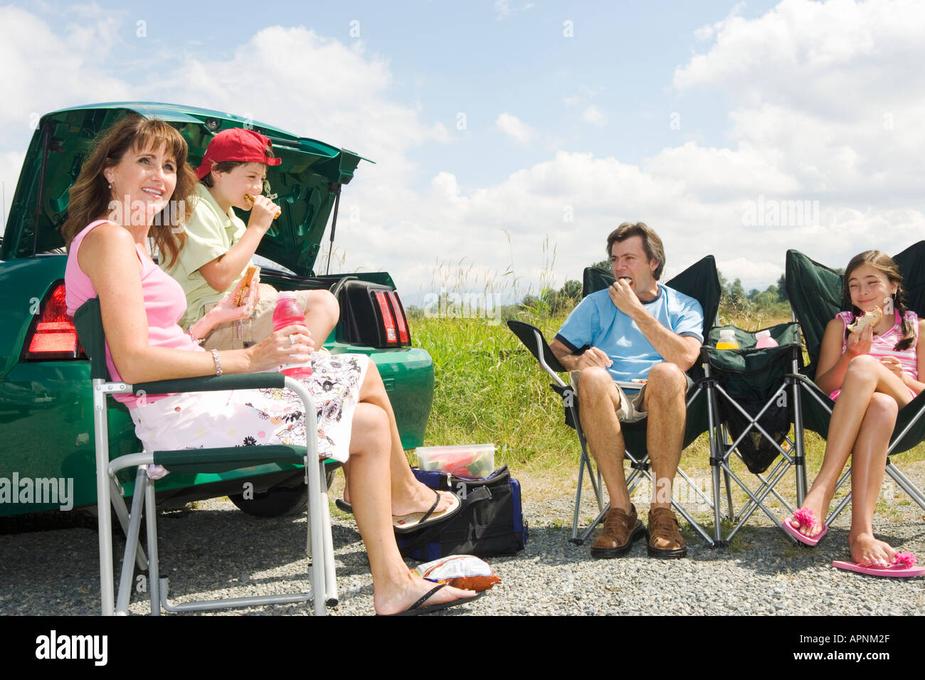 Family having picnic lunch outside car Stock Photo - Alamy