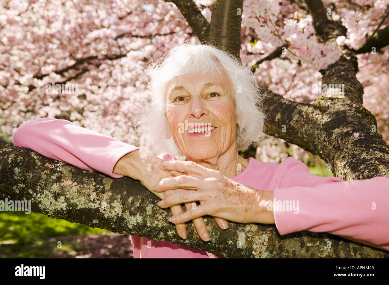 Older woman white hair smiles hi-res stock photography and images - Alamy