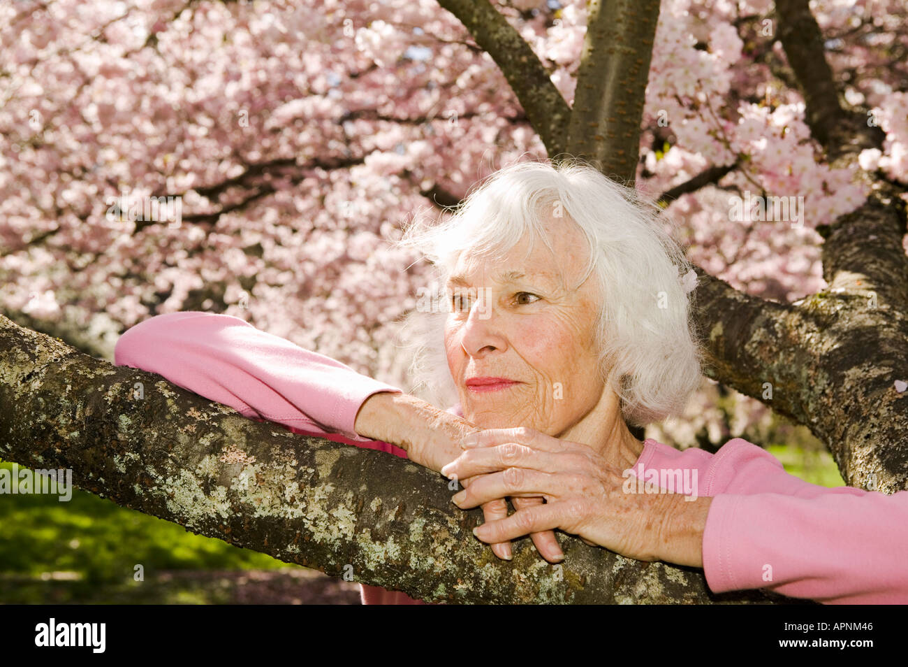 Older woman posing with flowering tree Stock Photo - Alamy