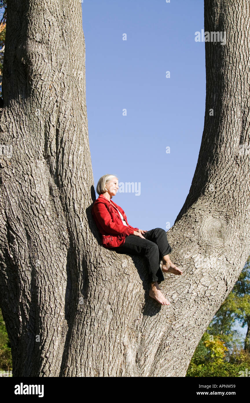 Crook of branches hi-res stock photography and images - Alamy