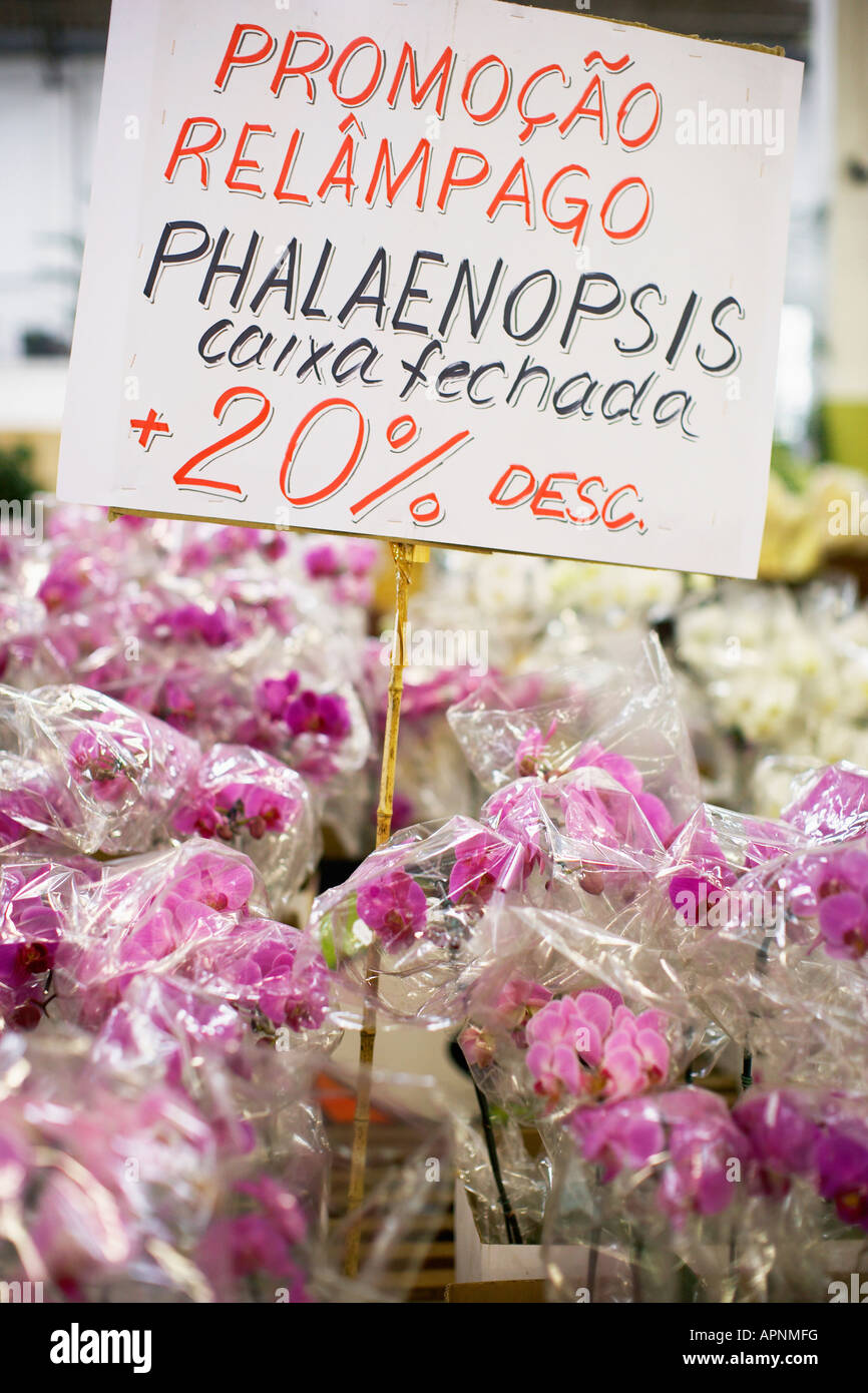 Sale sign by Phalaenopsis flowers Stock Photo - Alamy