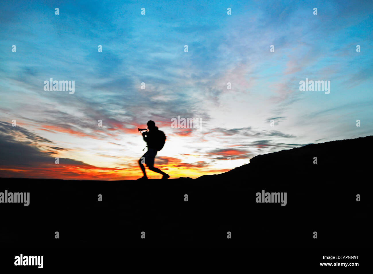 Bugle silhouette hi-res stock photography and images - Alamy