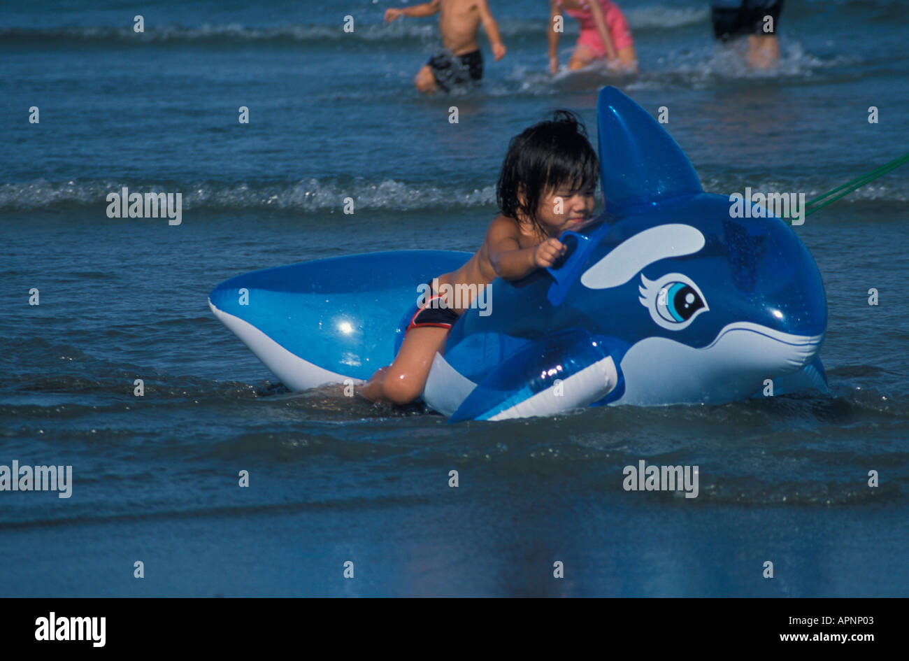 Child Play Dolphin High Resolution Stock Photography and Images - Alamy
