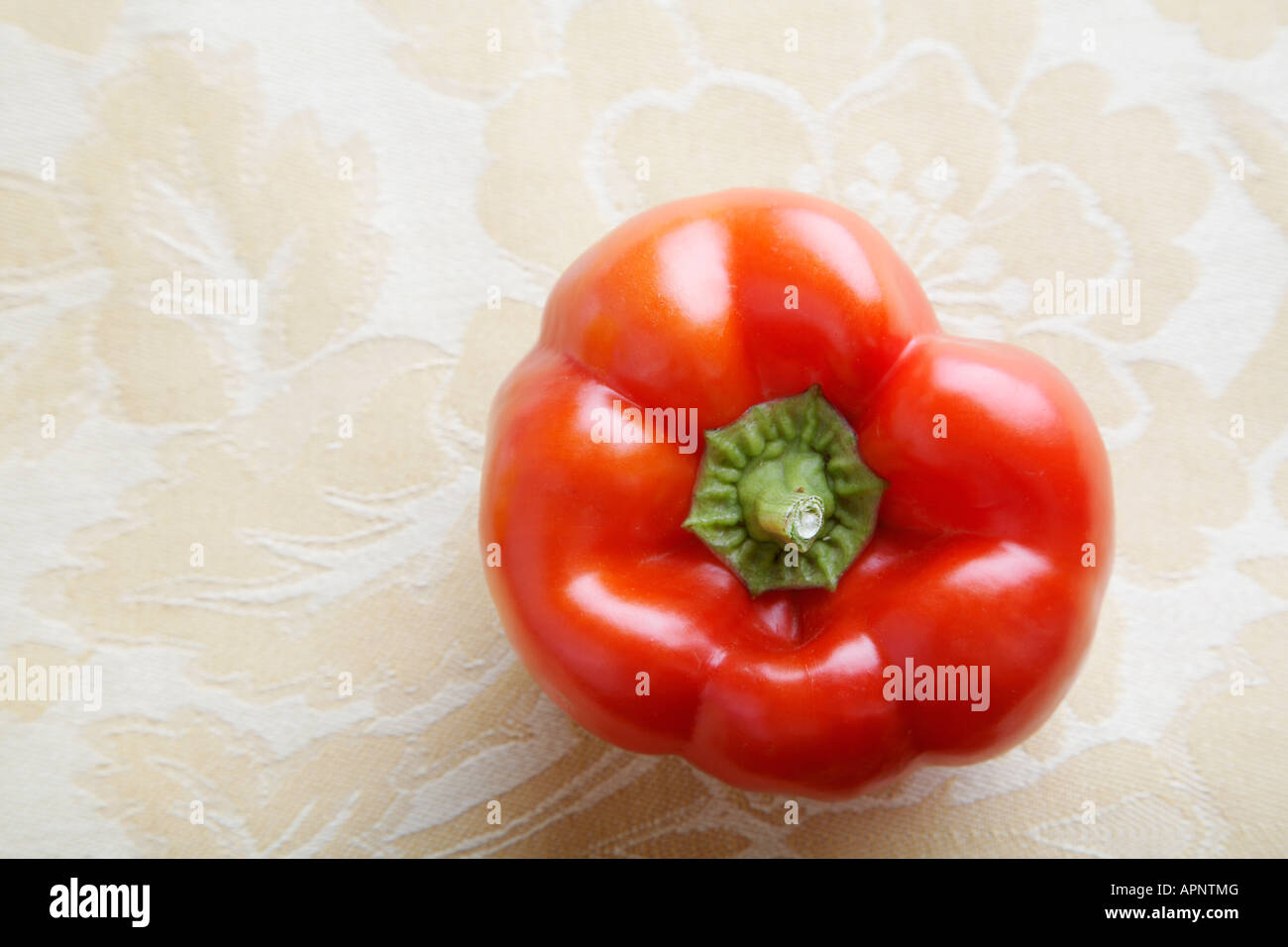 Single red bell pepper Stock Photo - Alamy