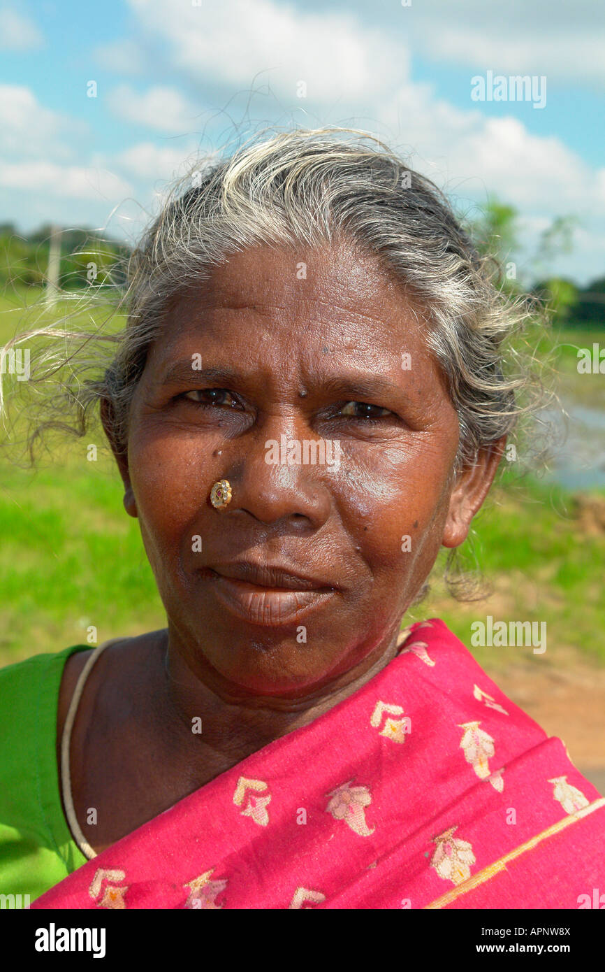 portrait of indian village woman in local dress near trichy Stock Photo ...