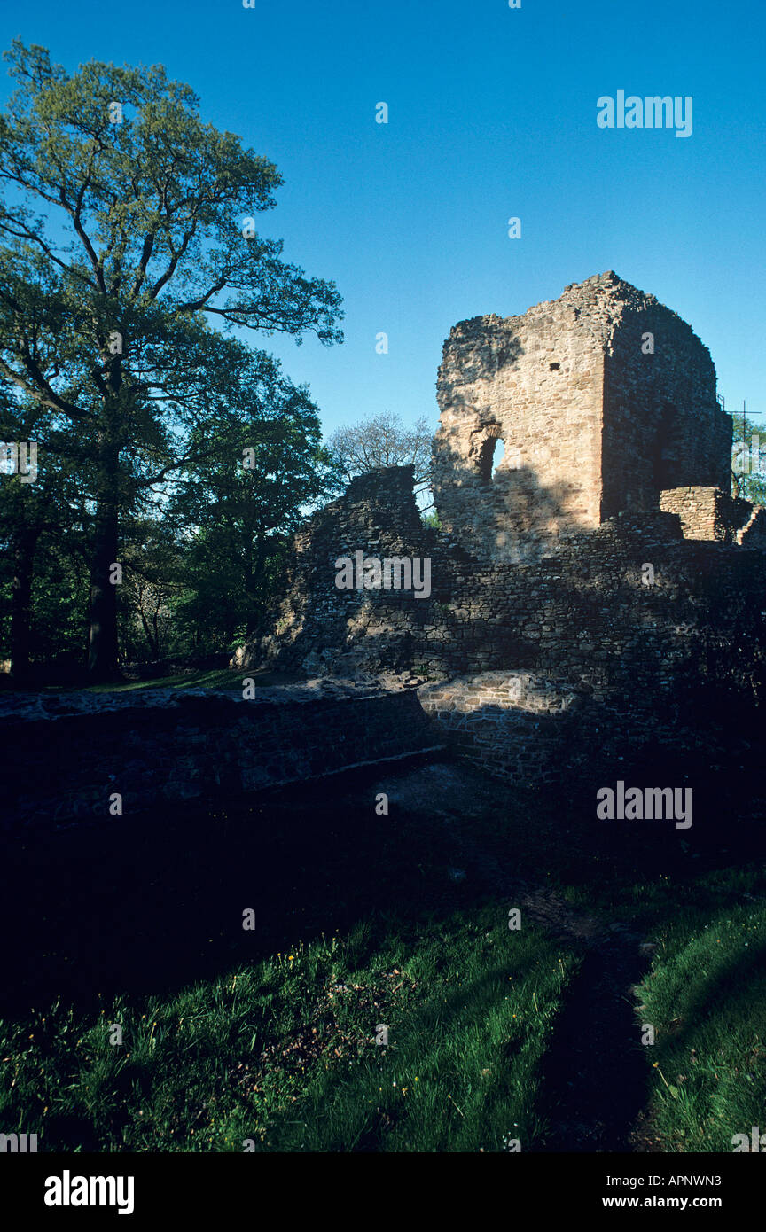 Ewloe Castle ruins stand alone in a woodlands the castle dates from the ...