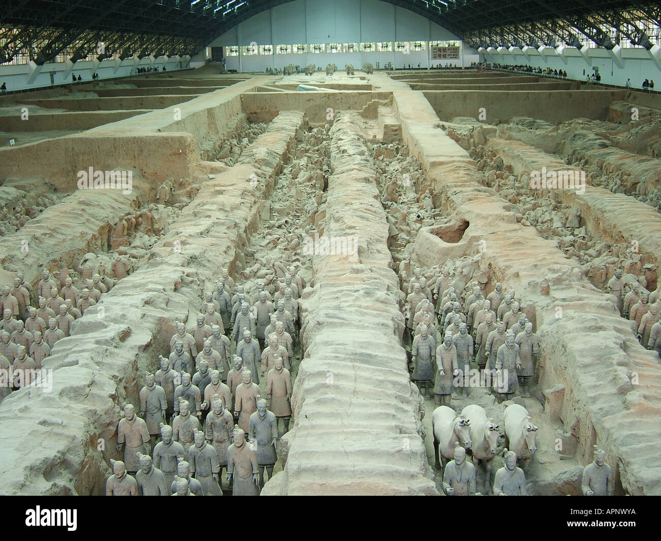 Terracotta Warriors, Terracotta Army Xian Shaanxi Province China Stock ...