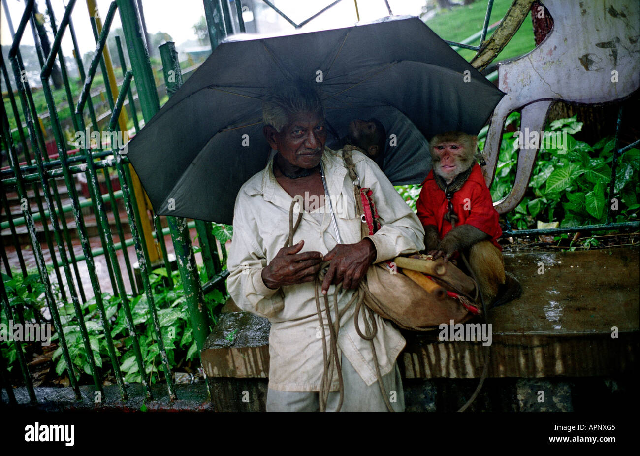 INDIA MUMBAI BOMBAY MAN WITH MONKEYS IN THE MONSOON RAINS Stock Photo ...