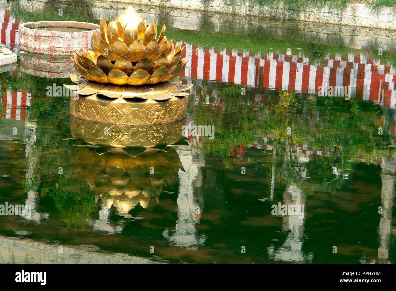 golden lotus tank at the sri meenakshi temple in madurai Stock Photo ...