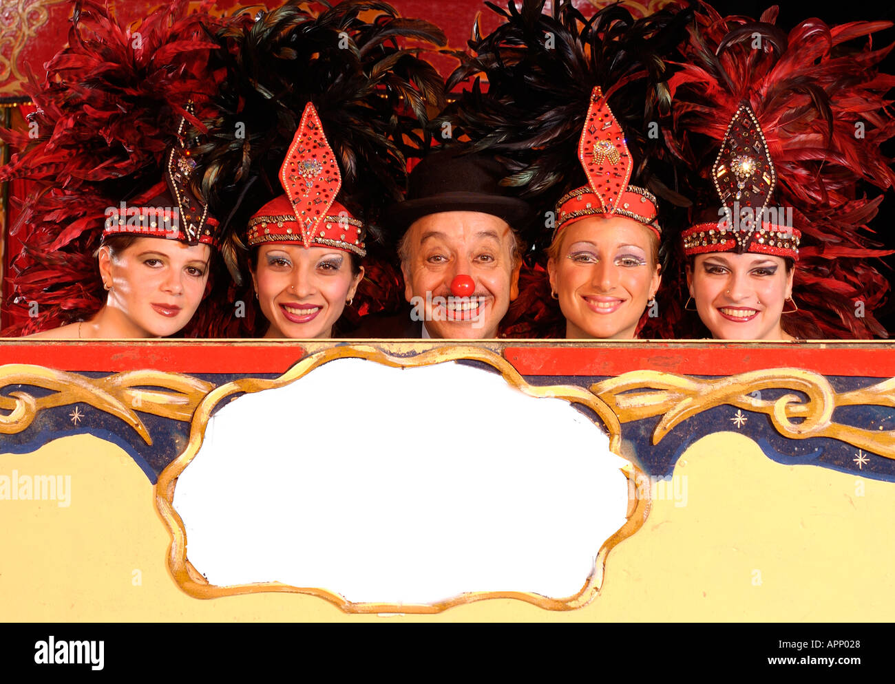 Circus horse with feathers hi-res stock photography and images - Alamy