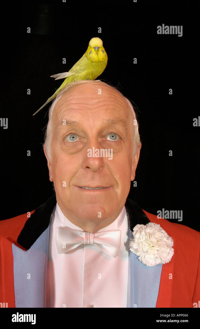 Circus parrot hi-res stock photography and images - Alamy