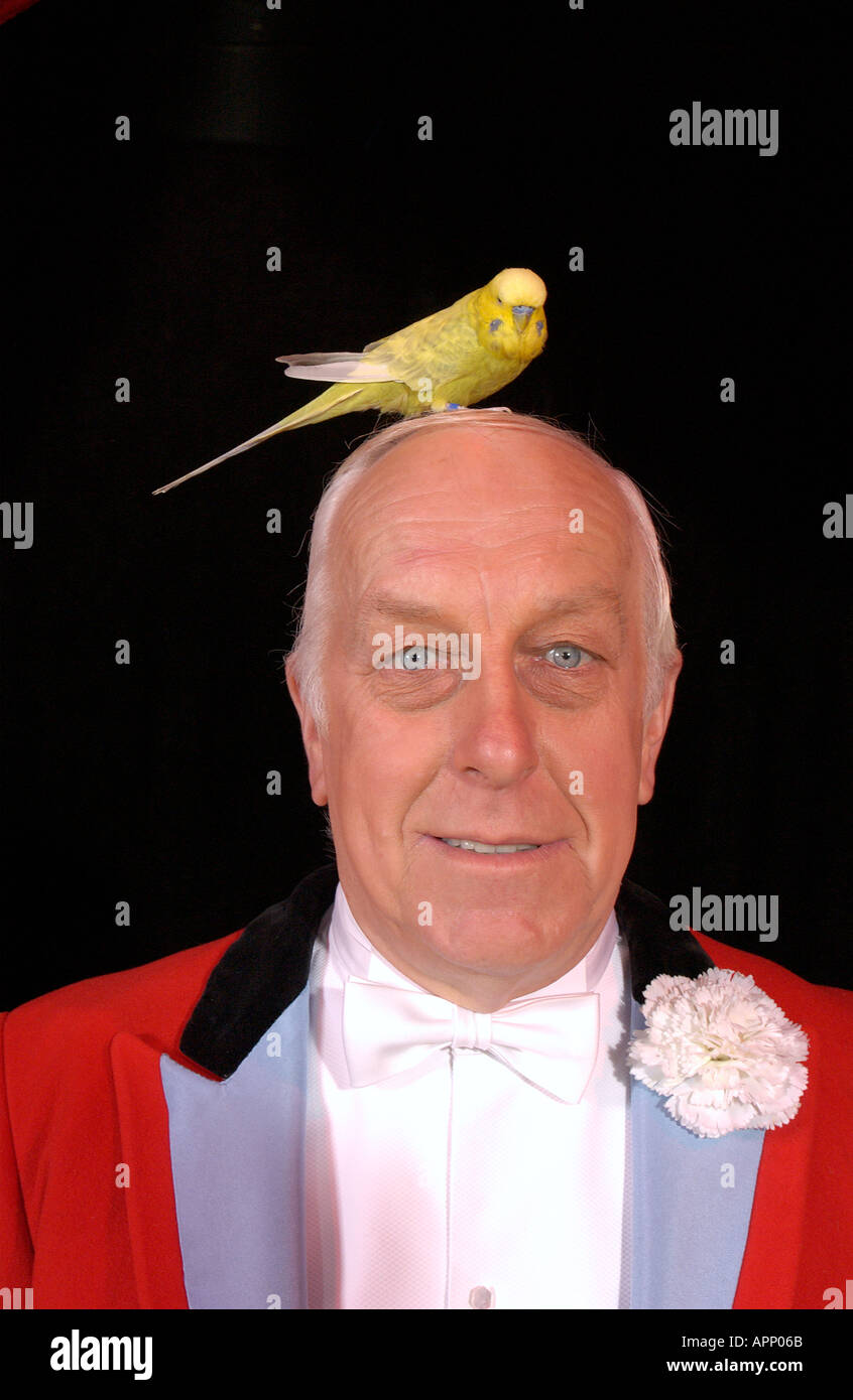 Circus parrot hi-res stock photography and images - Alamy