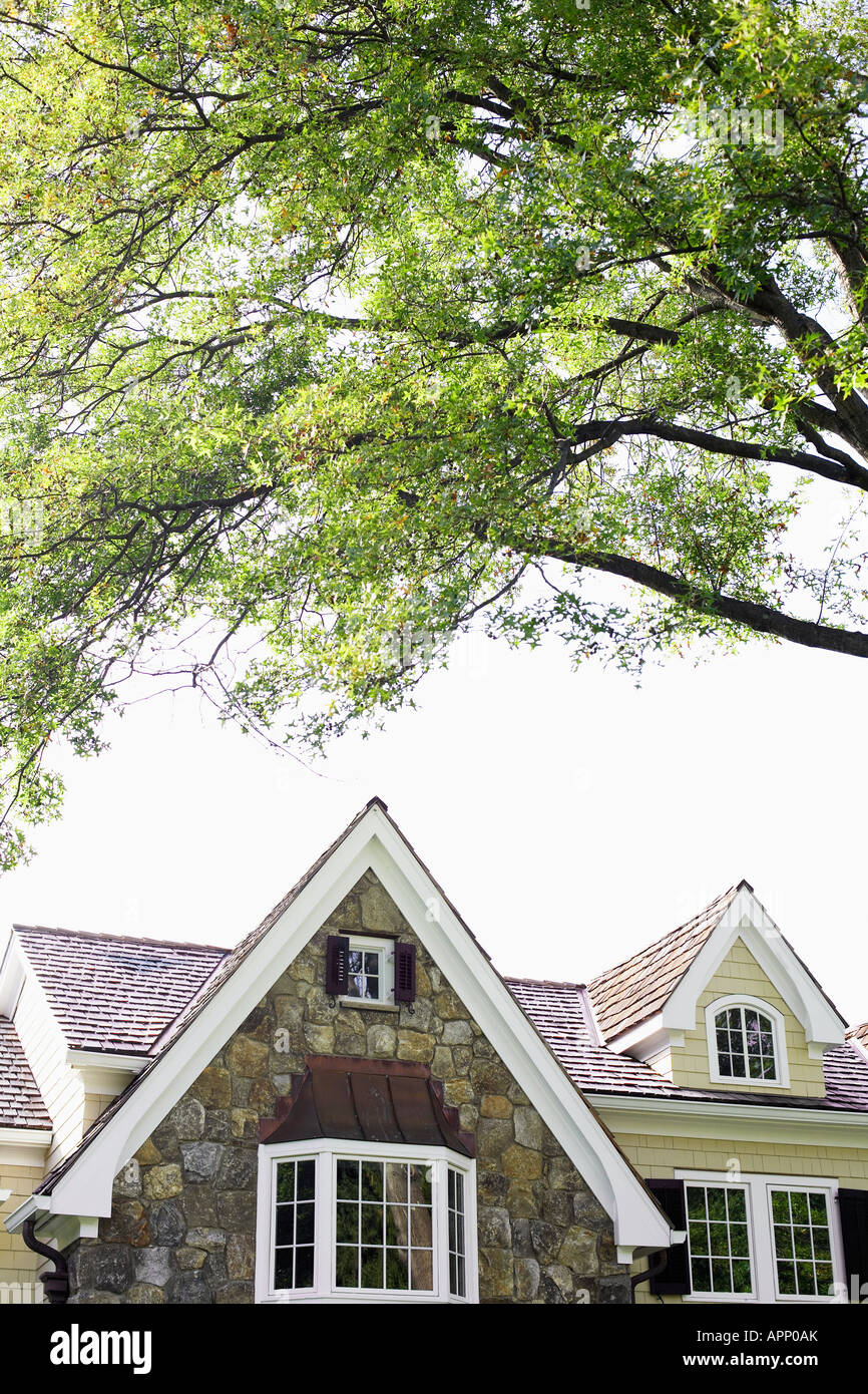 Tree near house, Chatham, New Jersey, USA Stock Photo - Alamy