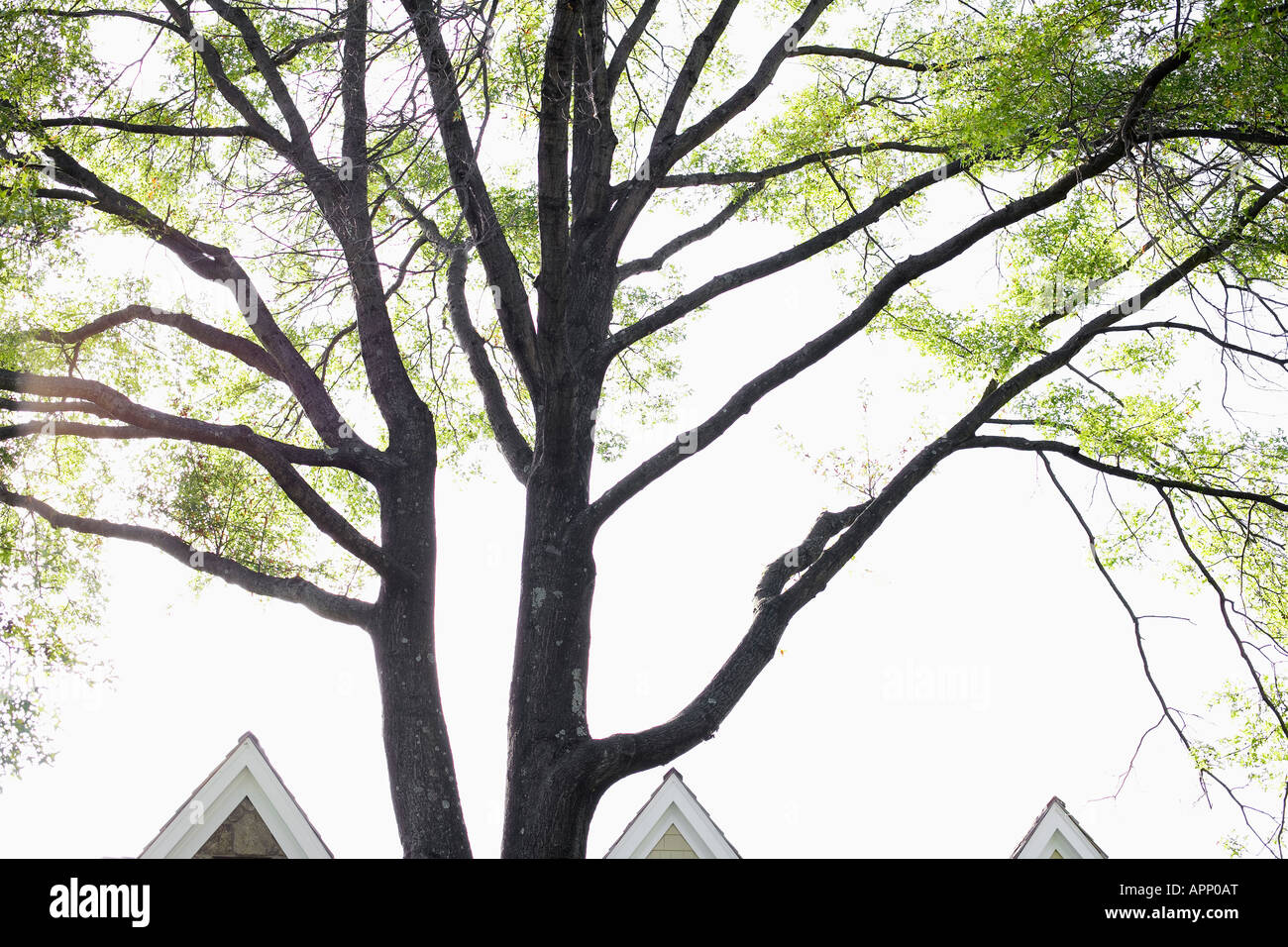 Chatham new jersey hi-res stock photography and images - Alamy