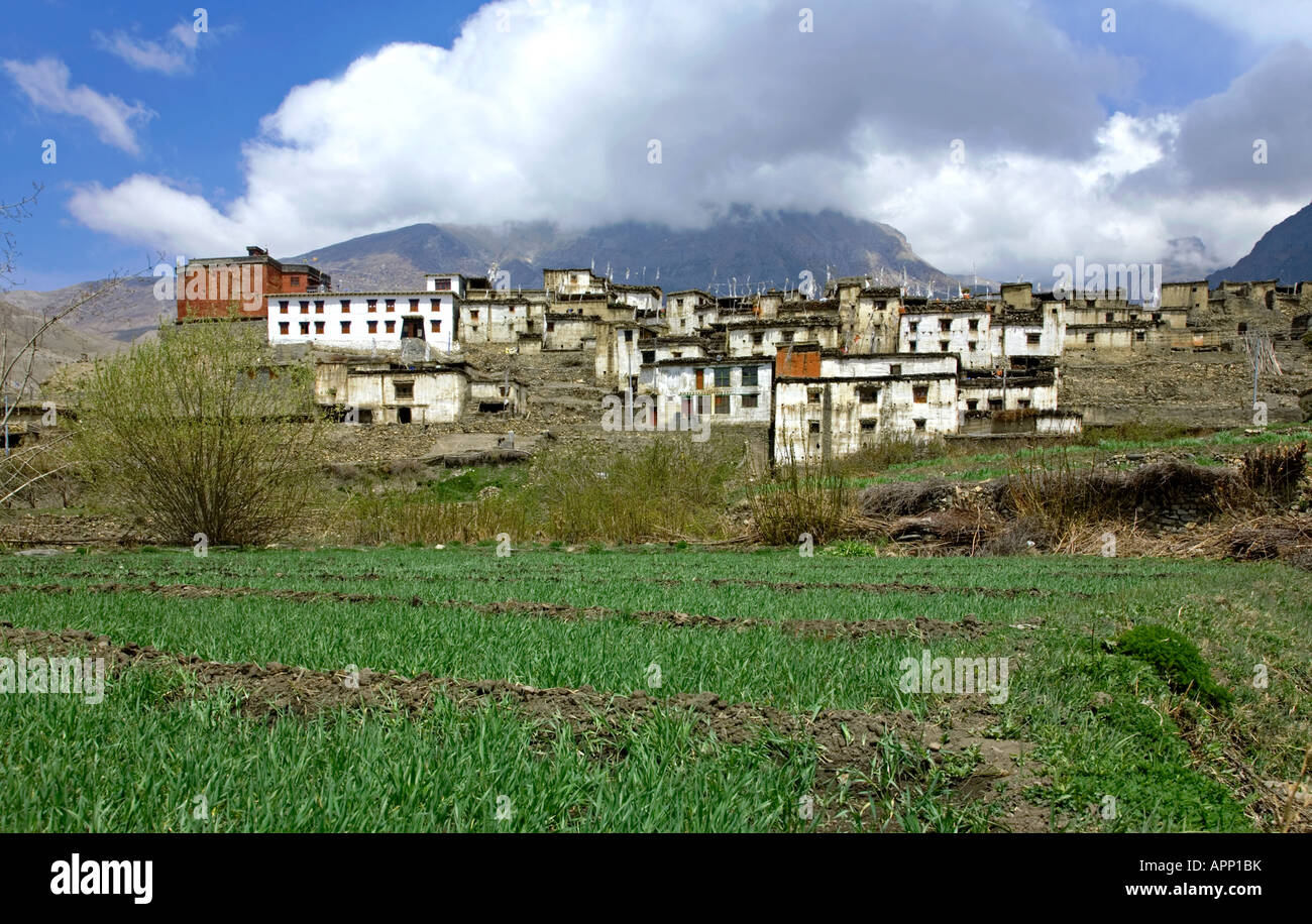 Jharkot village. Annapurna circuit trek. Mustang. Nepal Stock Photo - Alamy