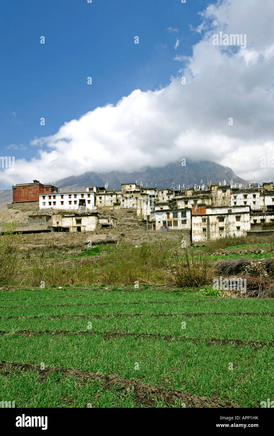 Jharkot village. Annapurna circuit trek. Mustang. Nepal Stock Photo - Alamy