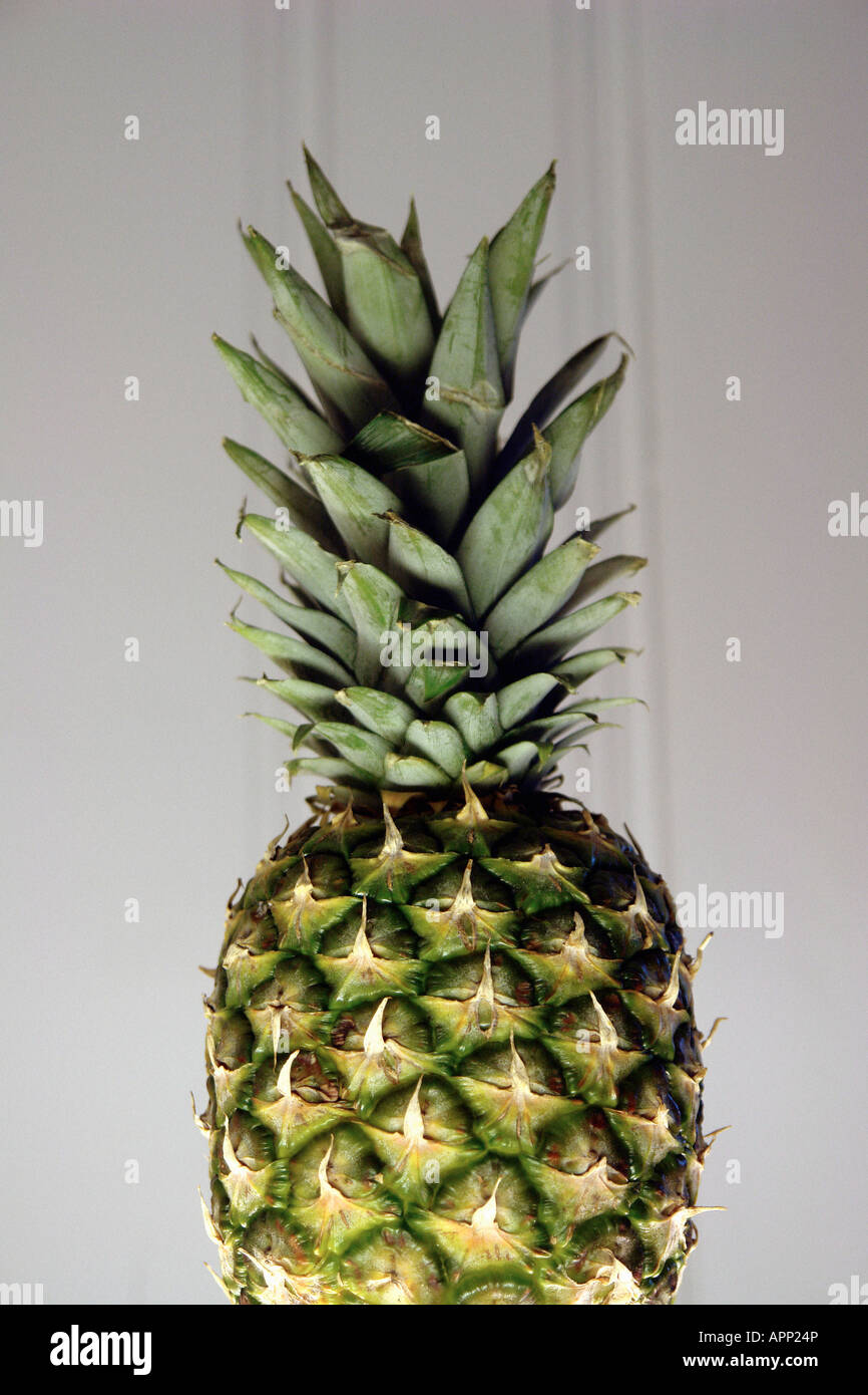 Pineapple hospitality hi-res stock photography and images - Alamy