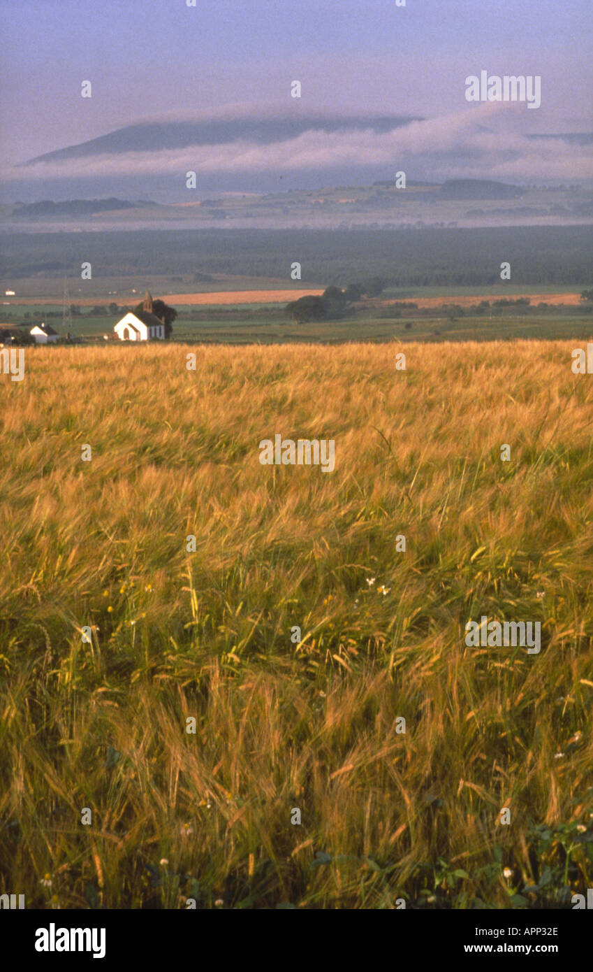 Mouswald High Resolution Stock Photography and Images - Alamy